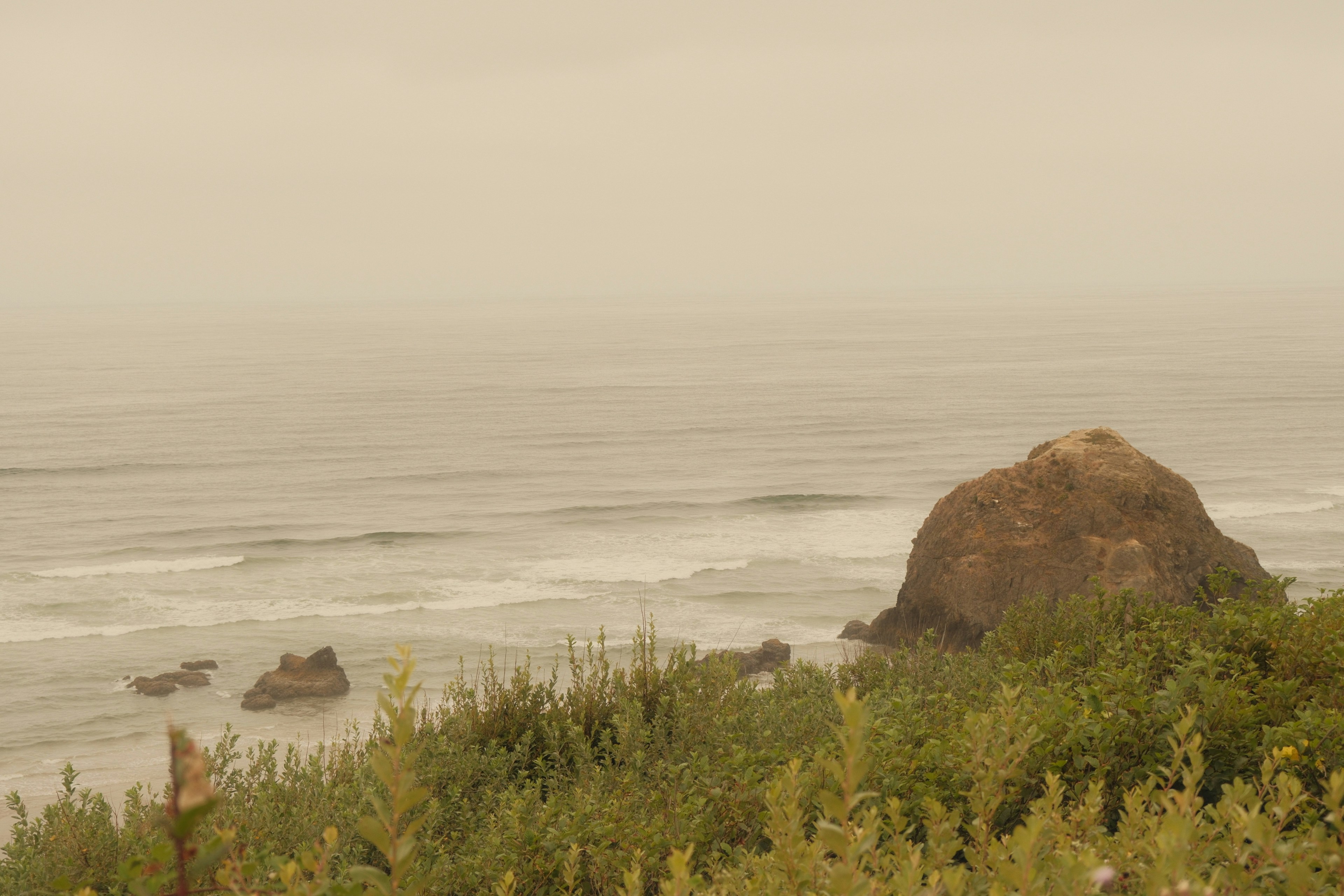 Coastal Quiet: A Sea-Wold Overlooked by a Weathered Rock