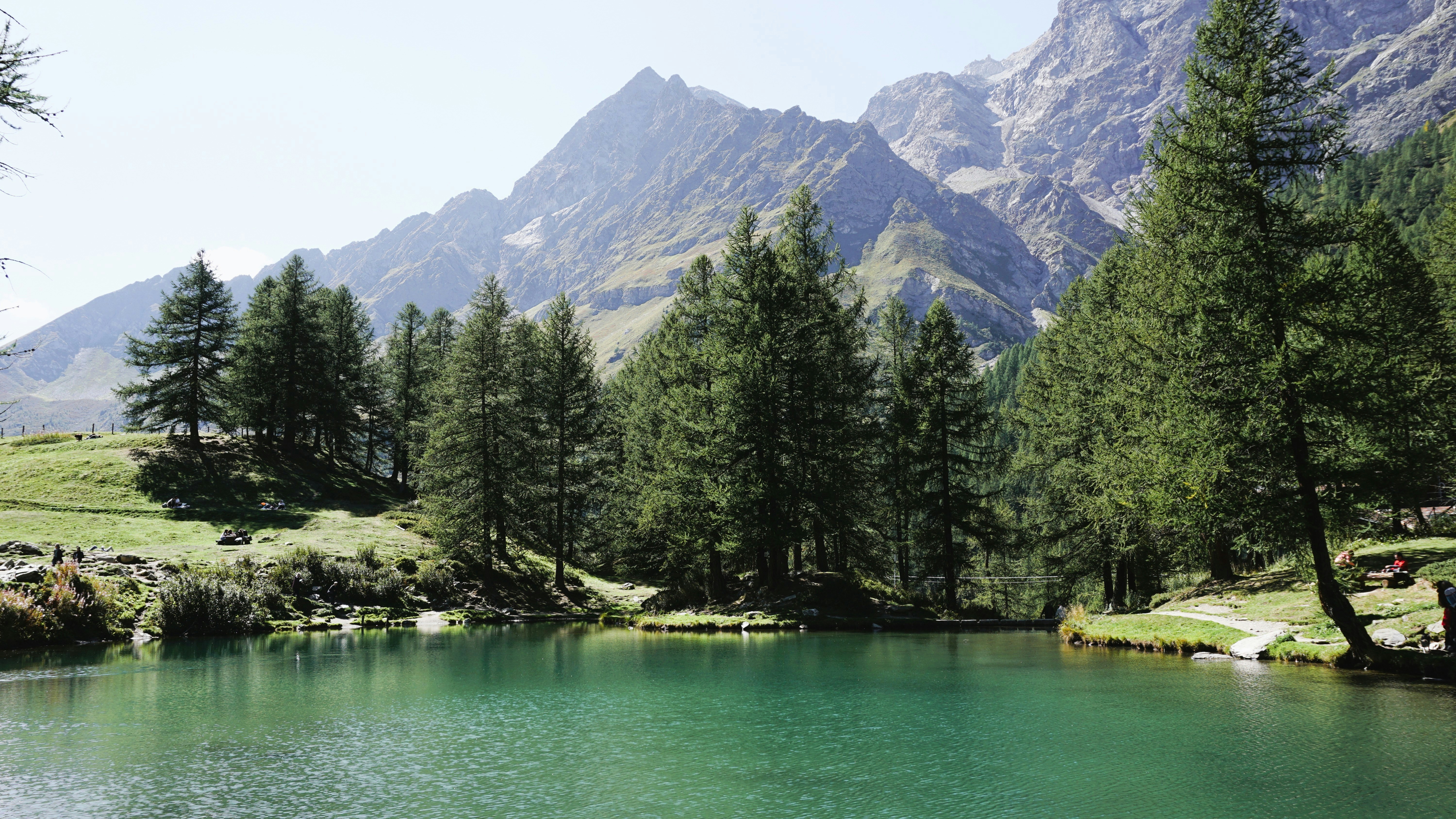 Clearing turquoise lake framed by evergreen pines and rugged mountains, with sunlit slopes suggesting a serene alpine scene.