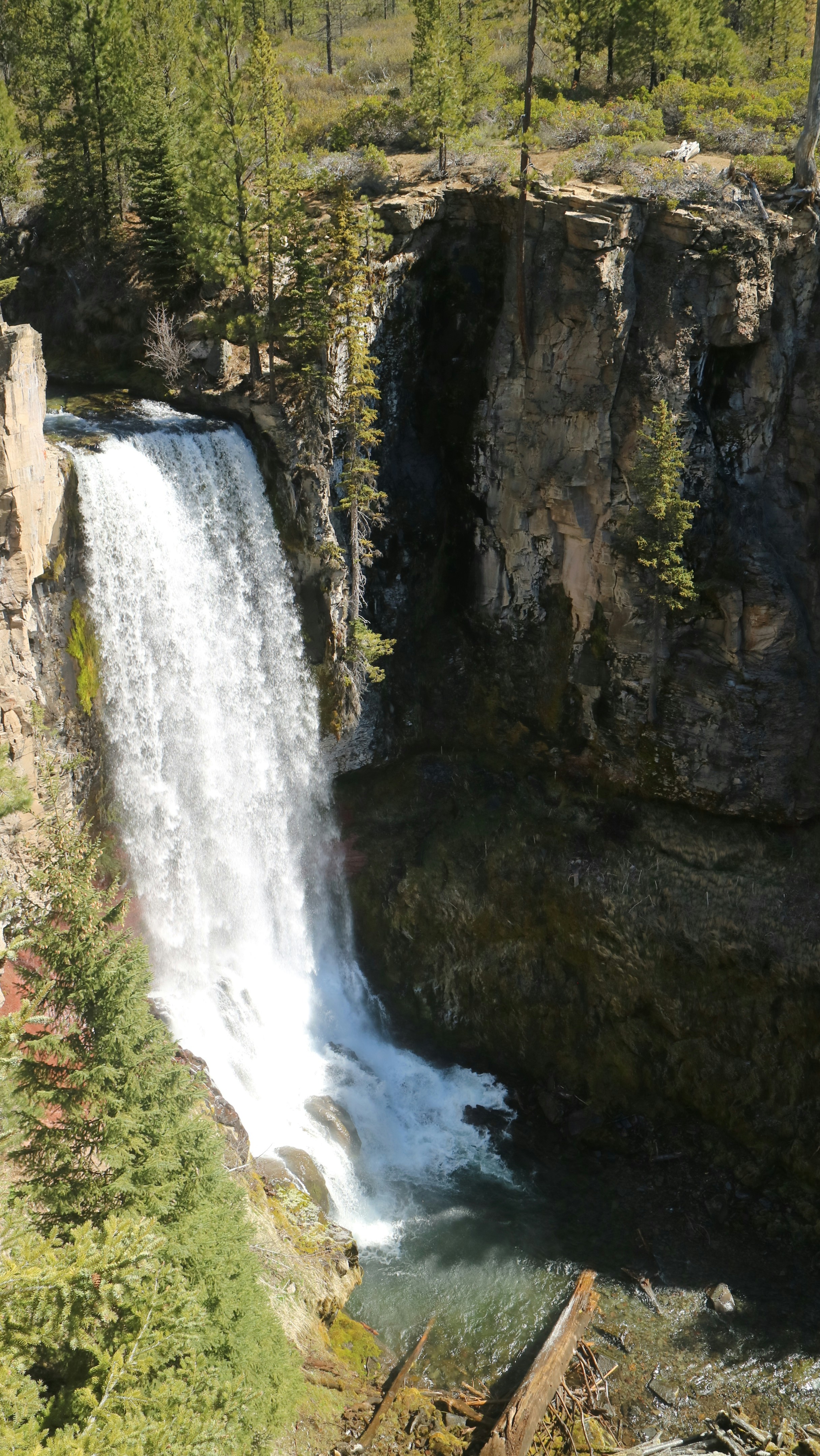 Cascading Light: A Towering Falls Amid Stone and Pines
