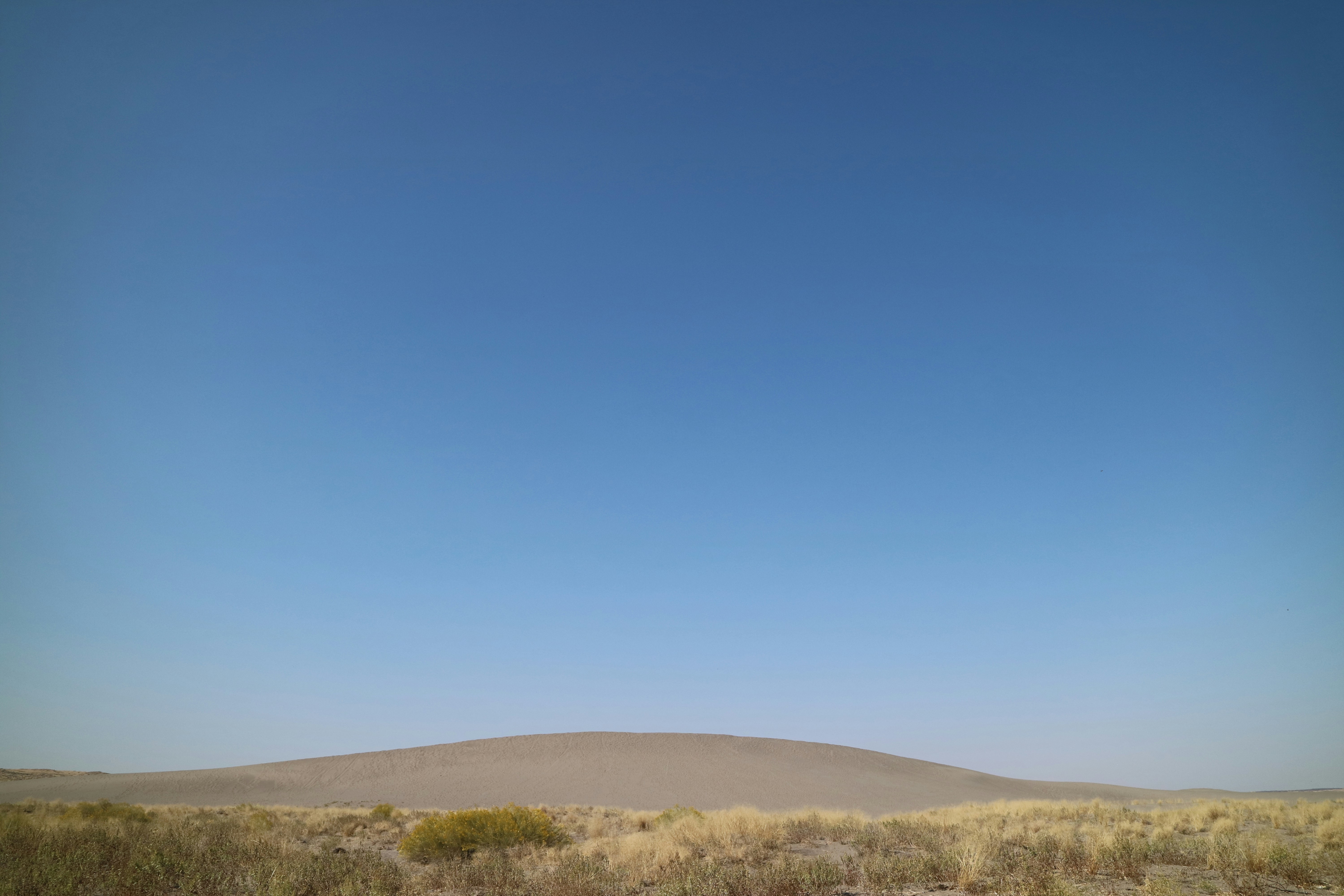 Dawn over a Sparse Dune: Quiet Prairie Skies