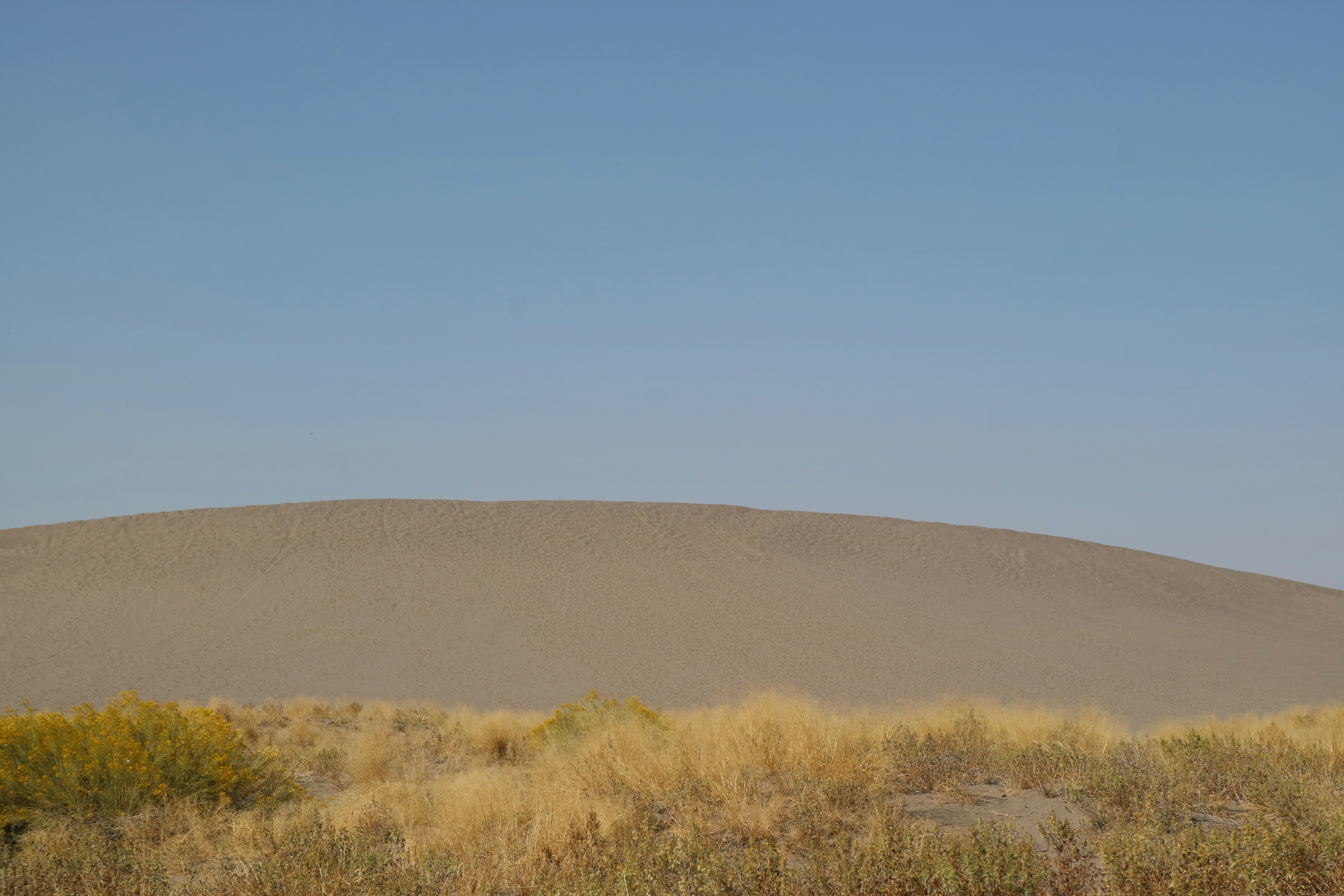 Desert Dune Ridge Under a Clear Blue Sky