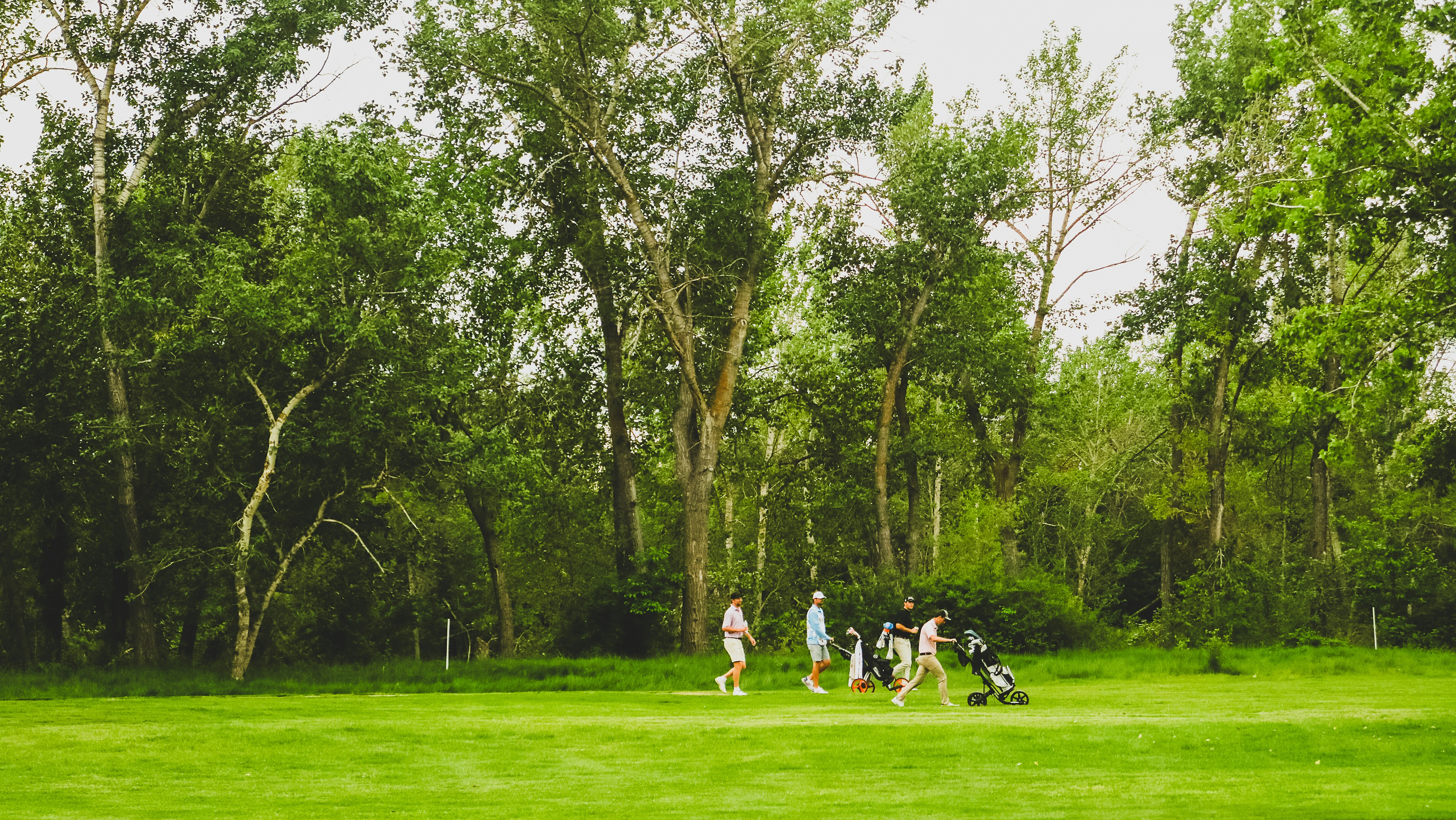 Green Fairway Pulse: Family Stroll with a Teed-Up Moment