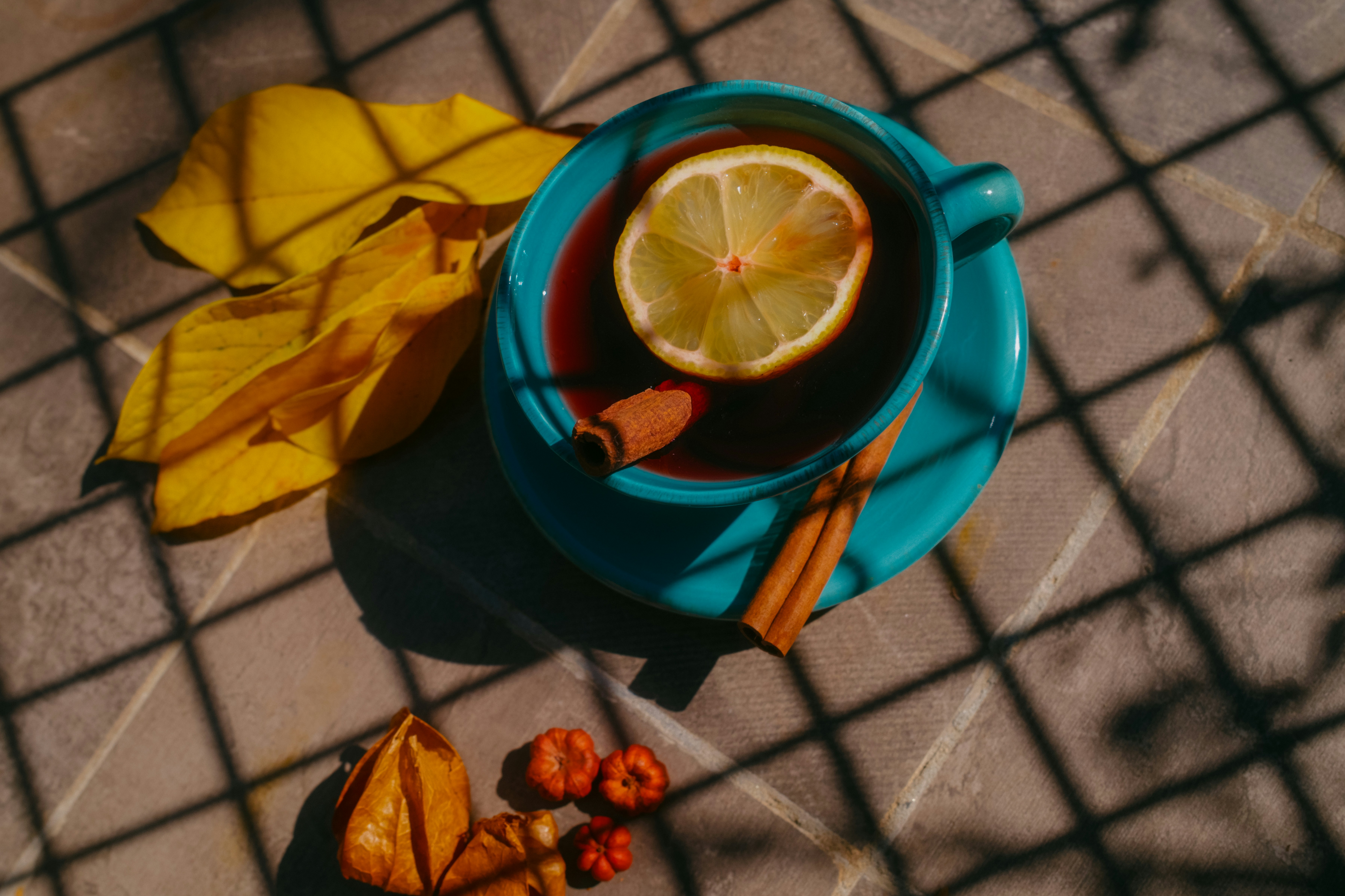Citrus Warmth in a Shadowed Courtyard