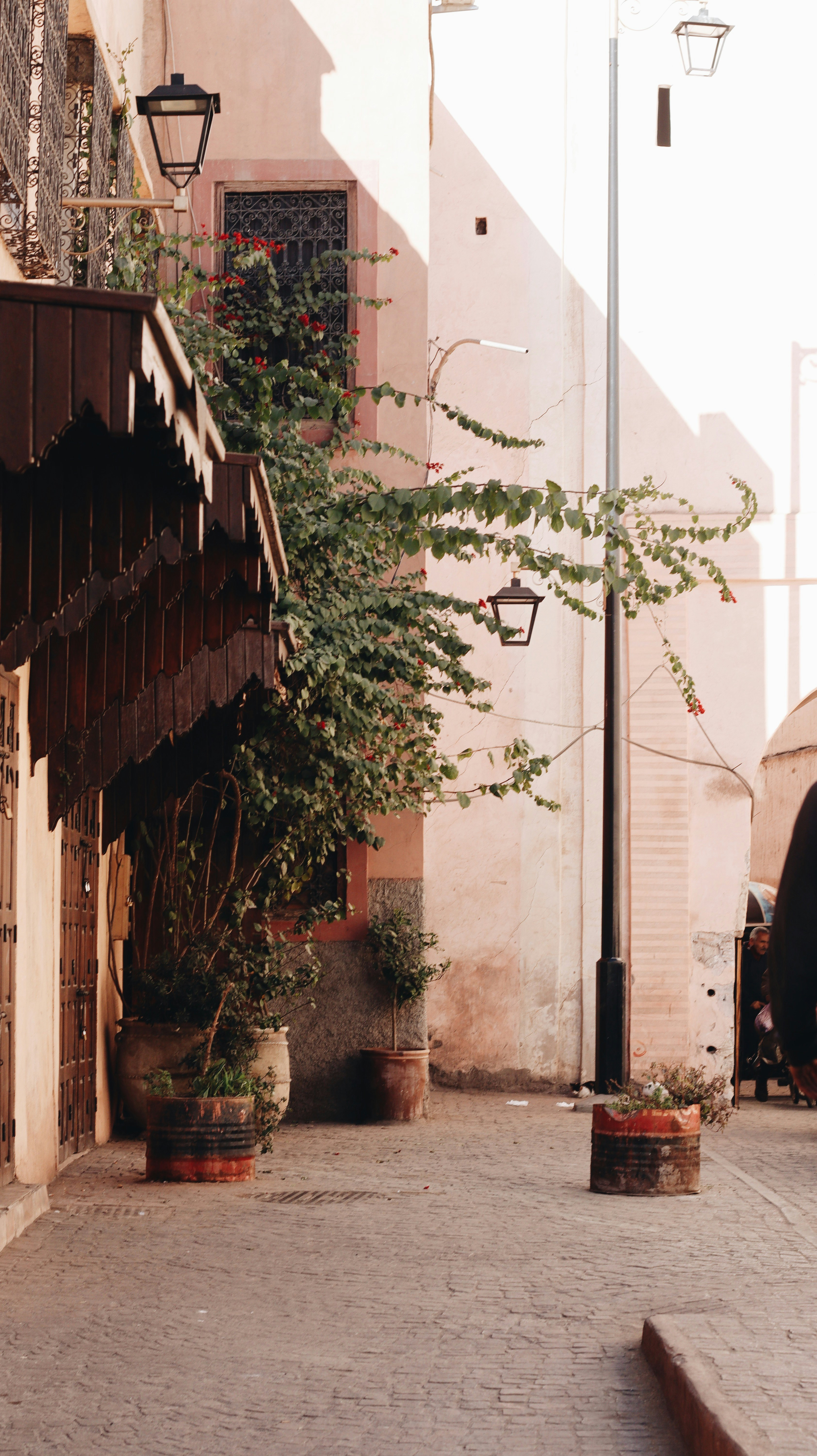 Sunlit Alleyway with Plant-Lined Facade and Timeless Streetlamps