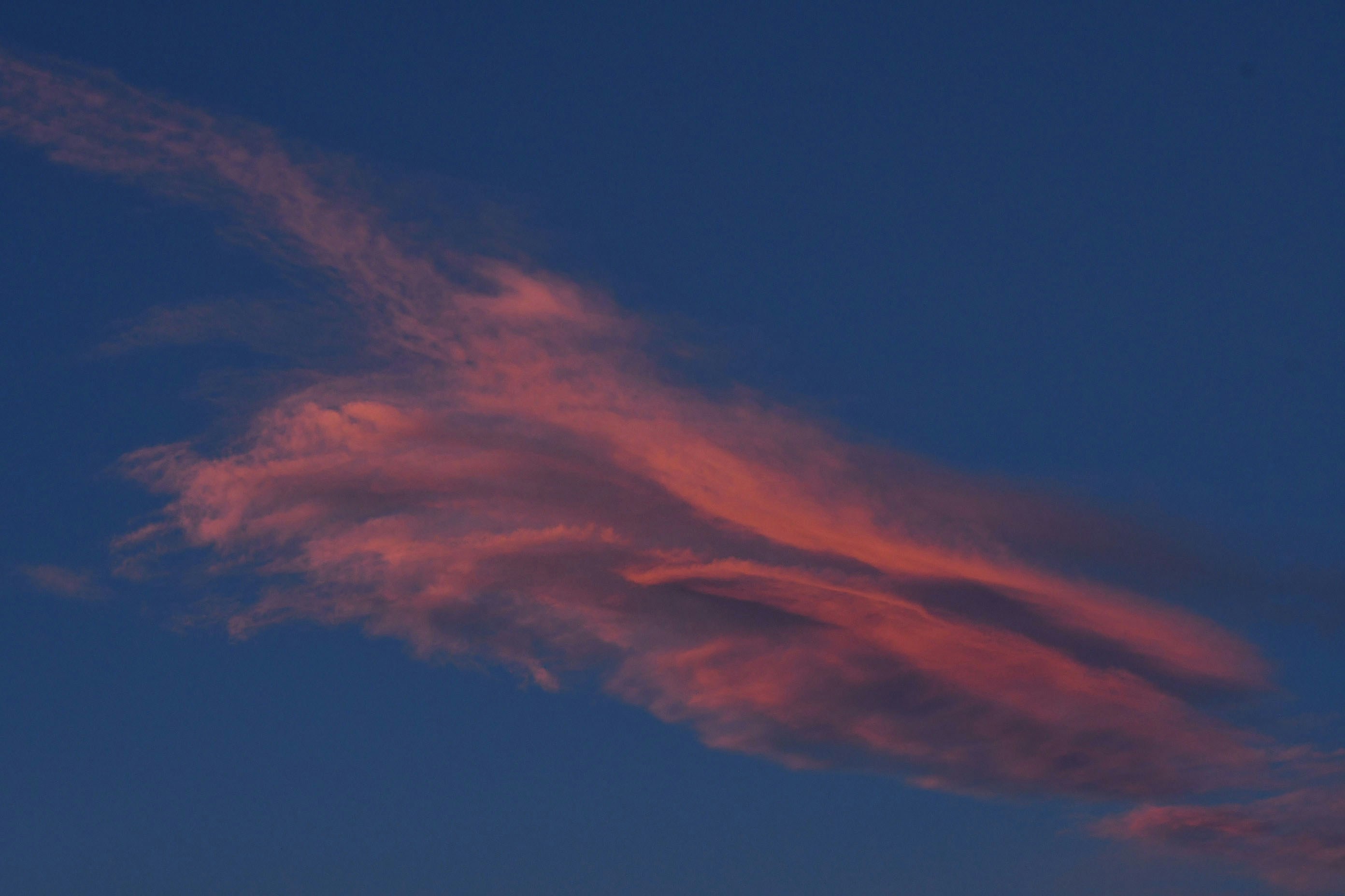 Azure Sky Ablaze: A Wisp of Pink Cloud Across a Deep Blue Horizon