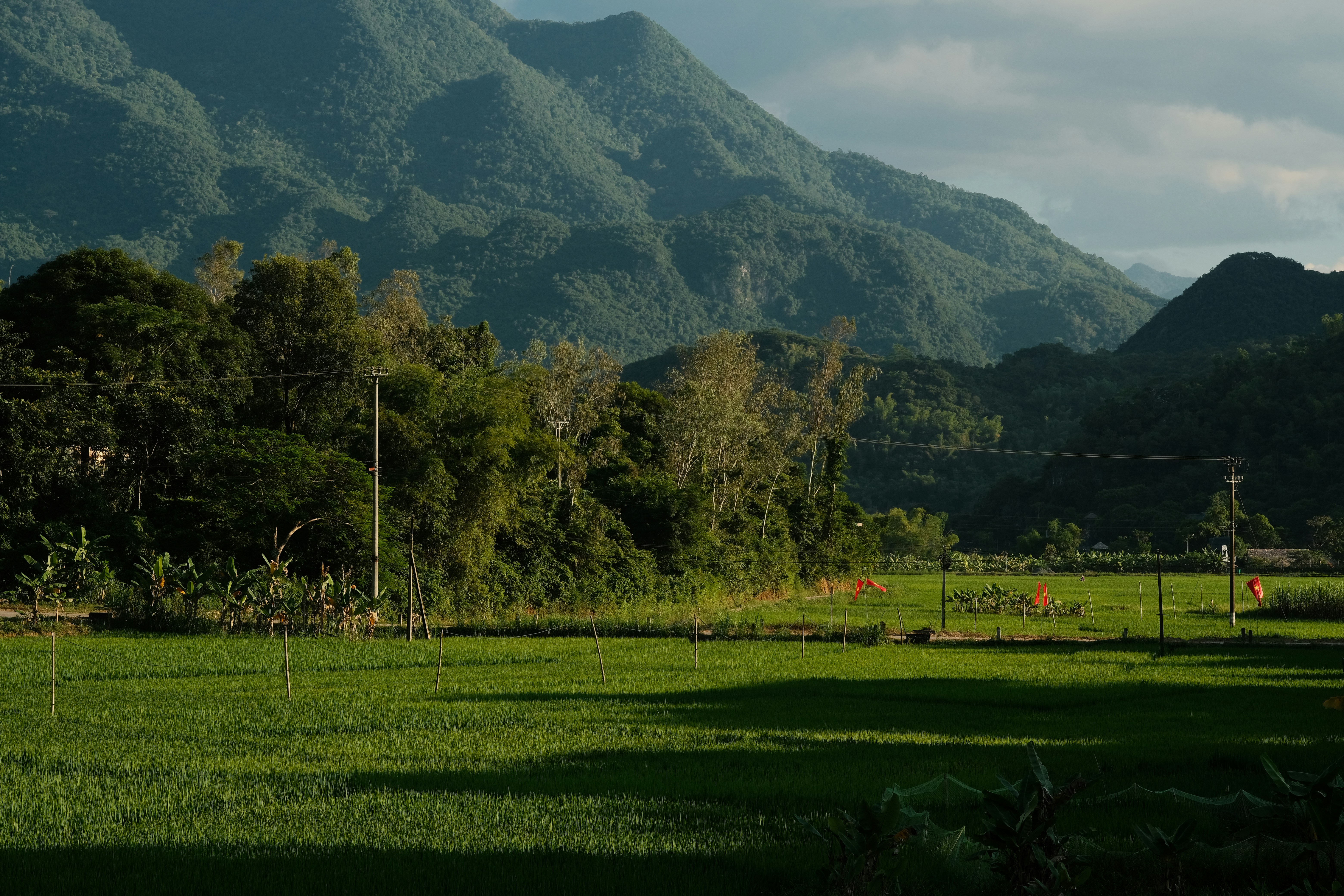 Verdant Fields Beneath Distant Peaks