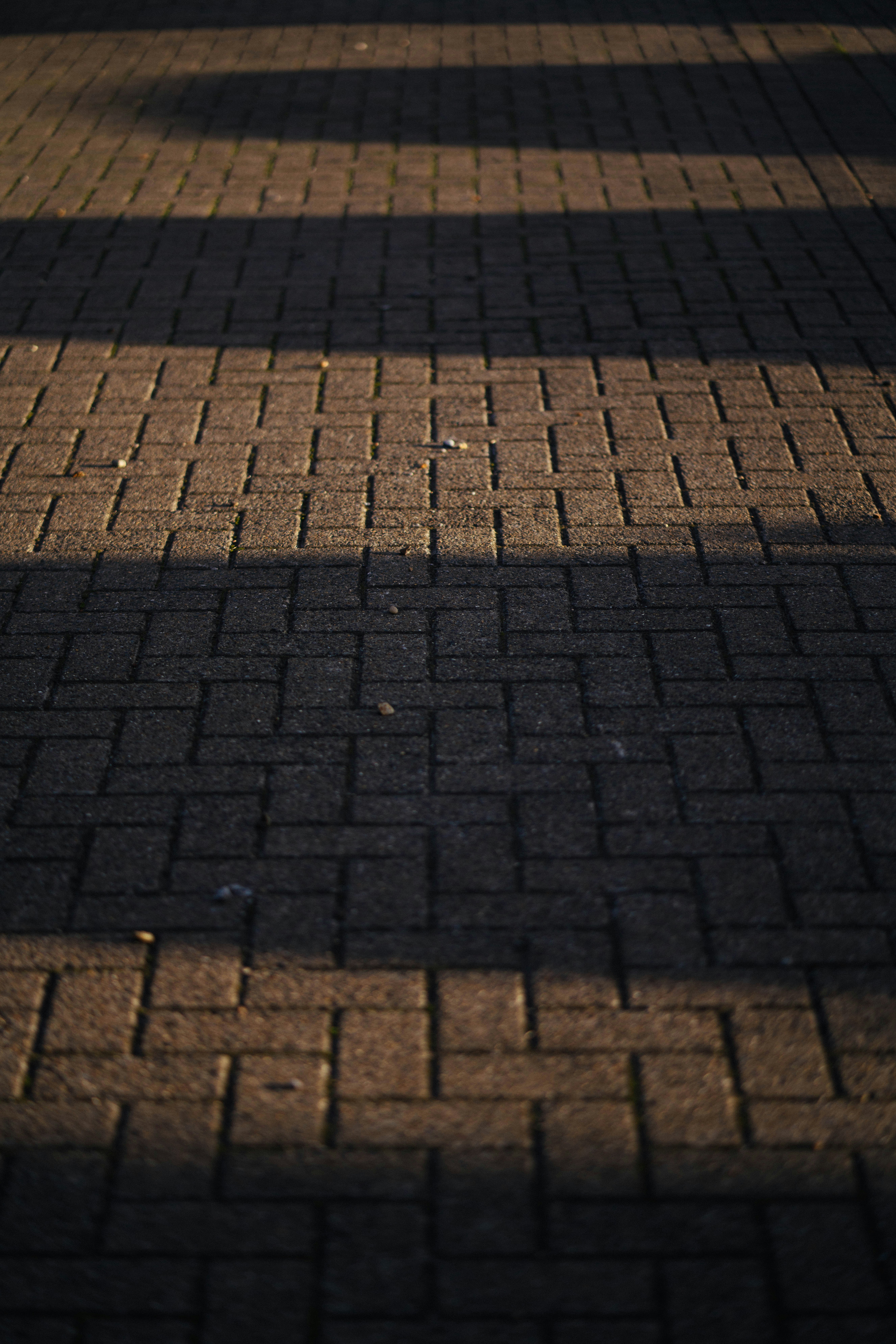 A Quiet Mosaic: Evening Light on a Brick Walkway