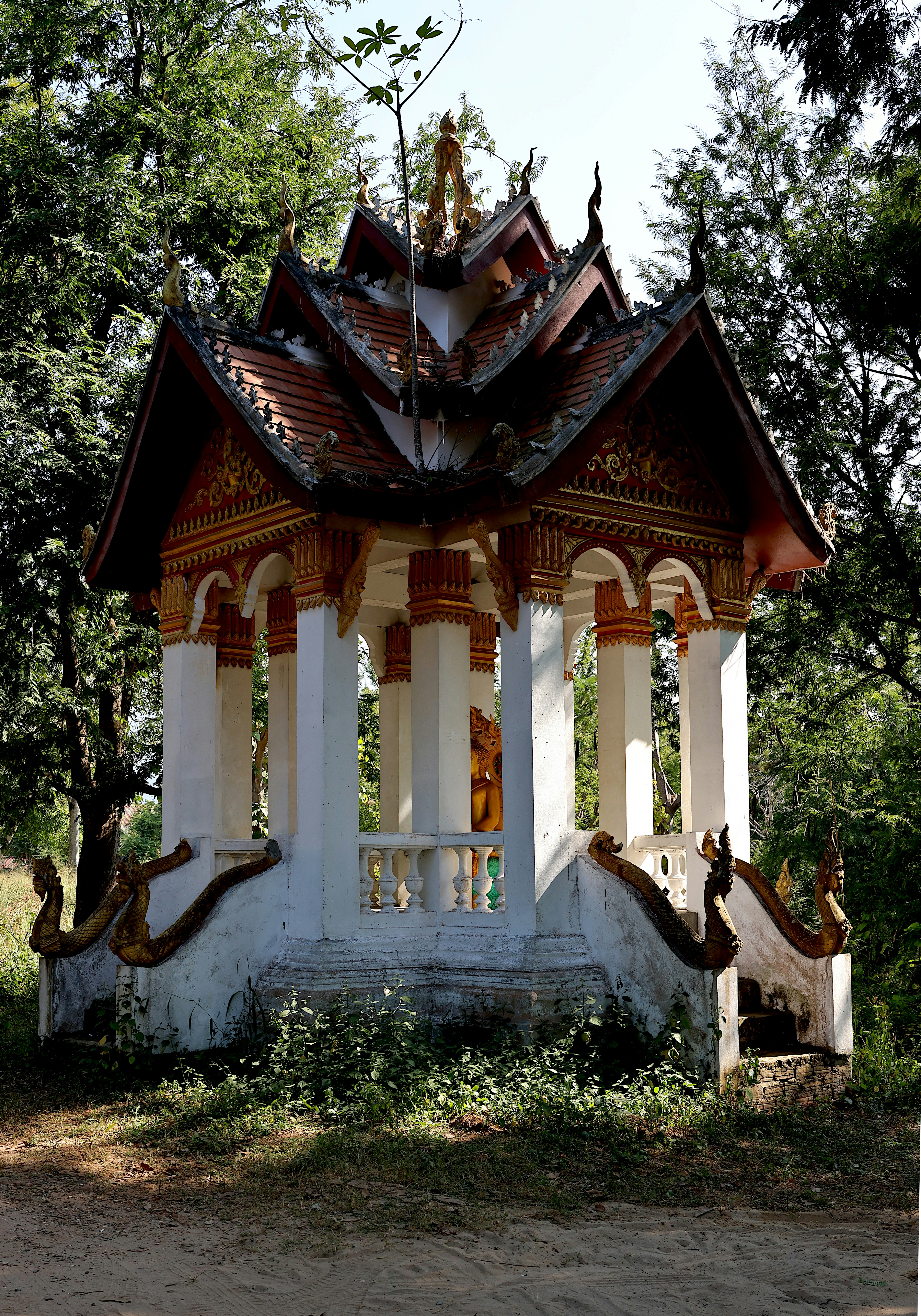 Temple Pavilion Rising from the Shadows of Trees