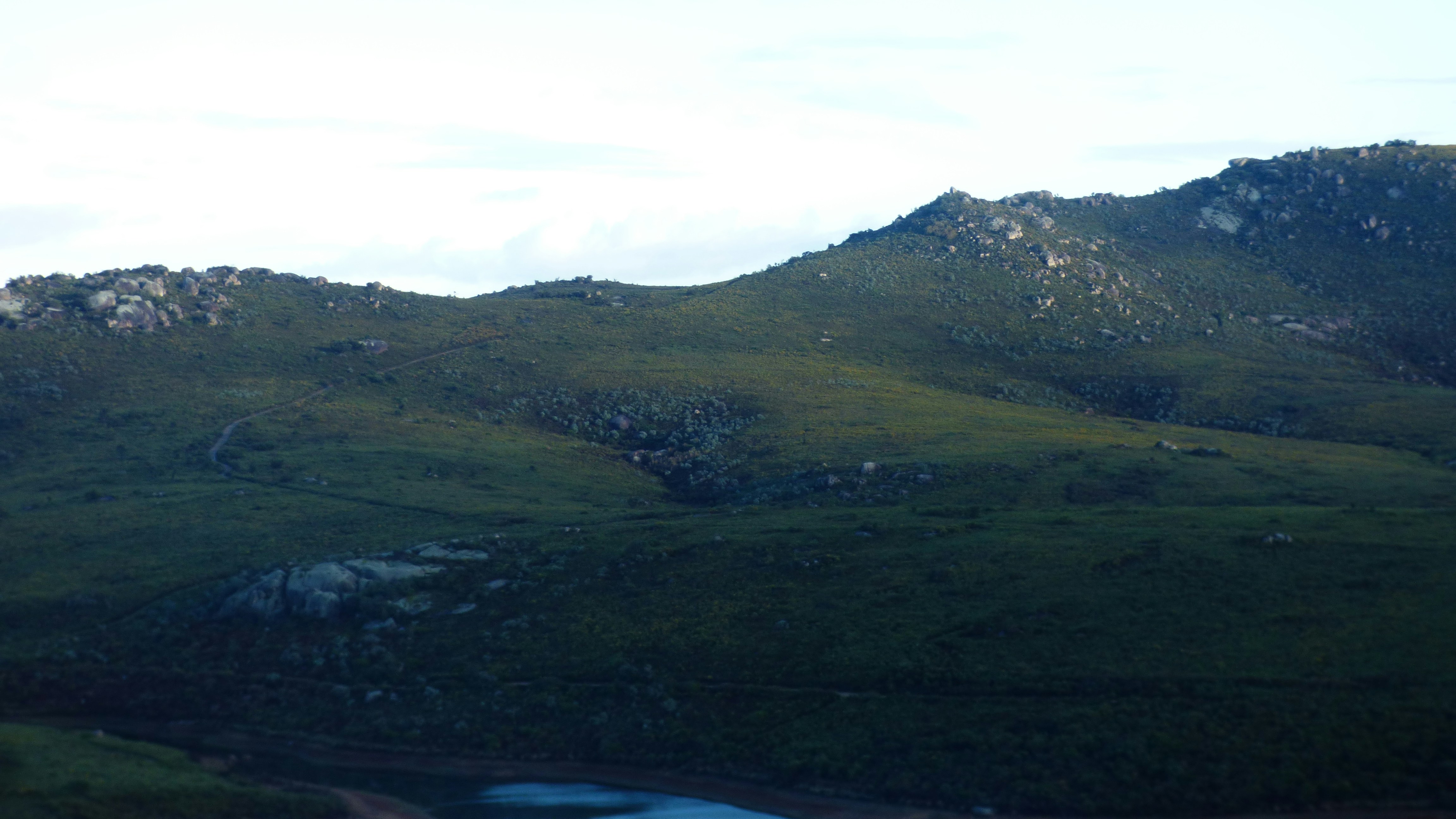 Verdant Ridge Under A Quiet Sky