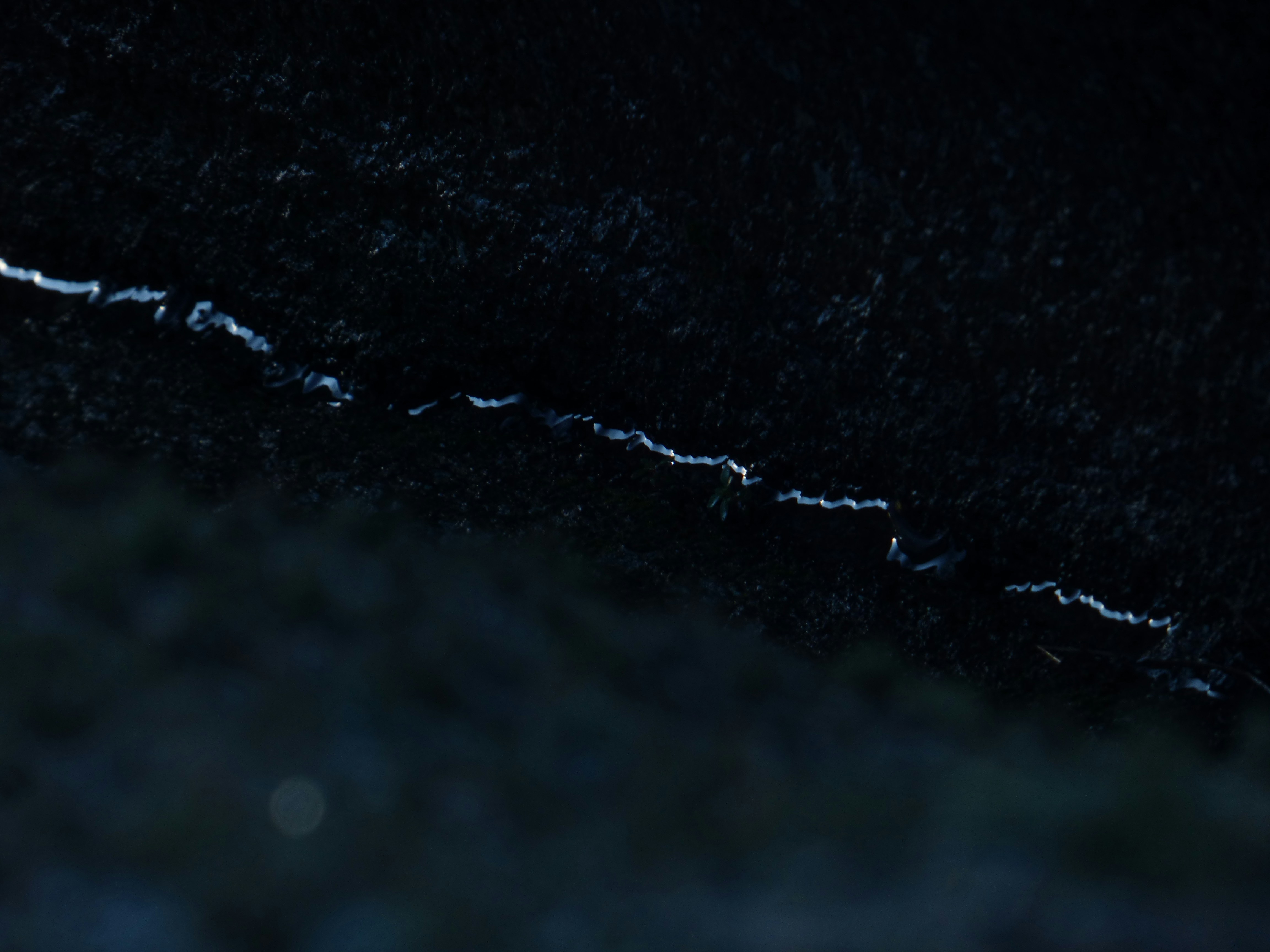 Edge of Darkness: A Night Sea Scratch
