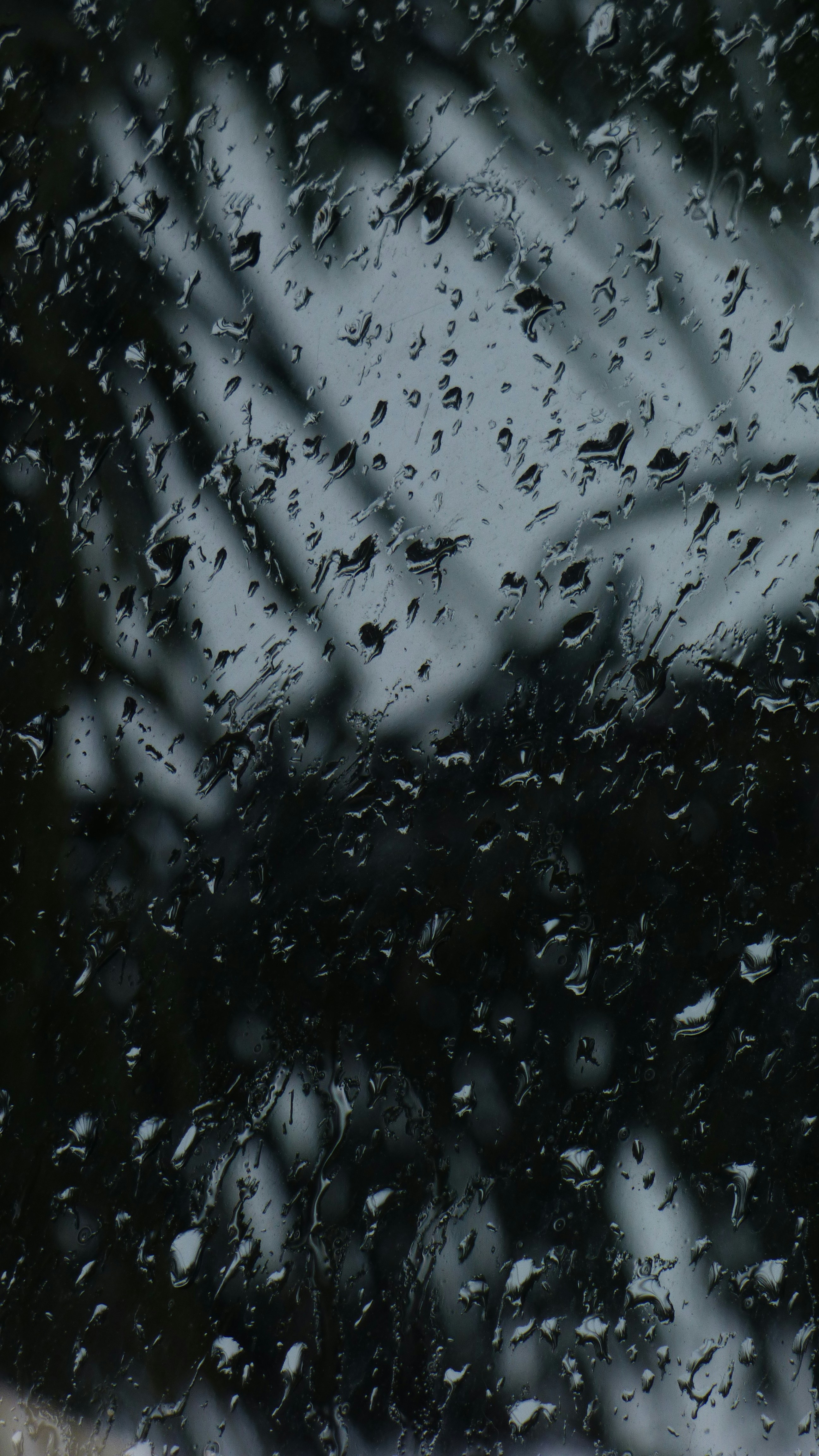 Raindrop Mosaic on a Dark Glass