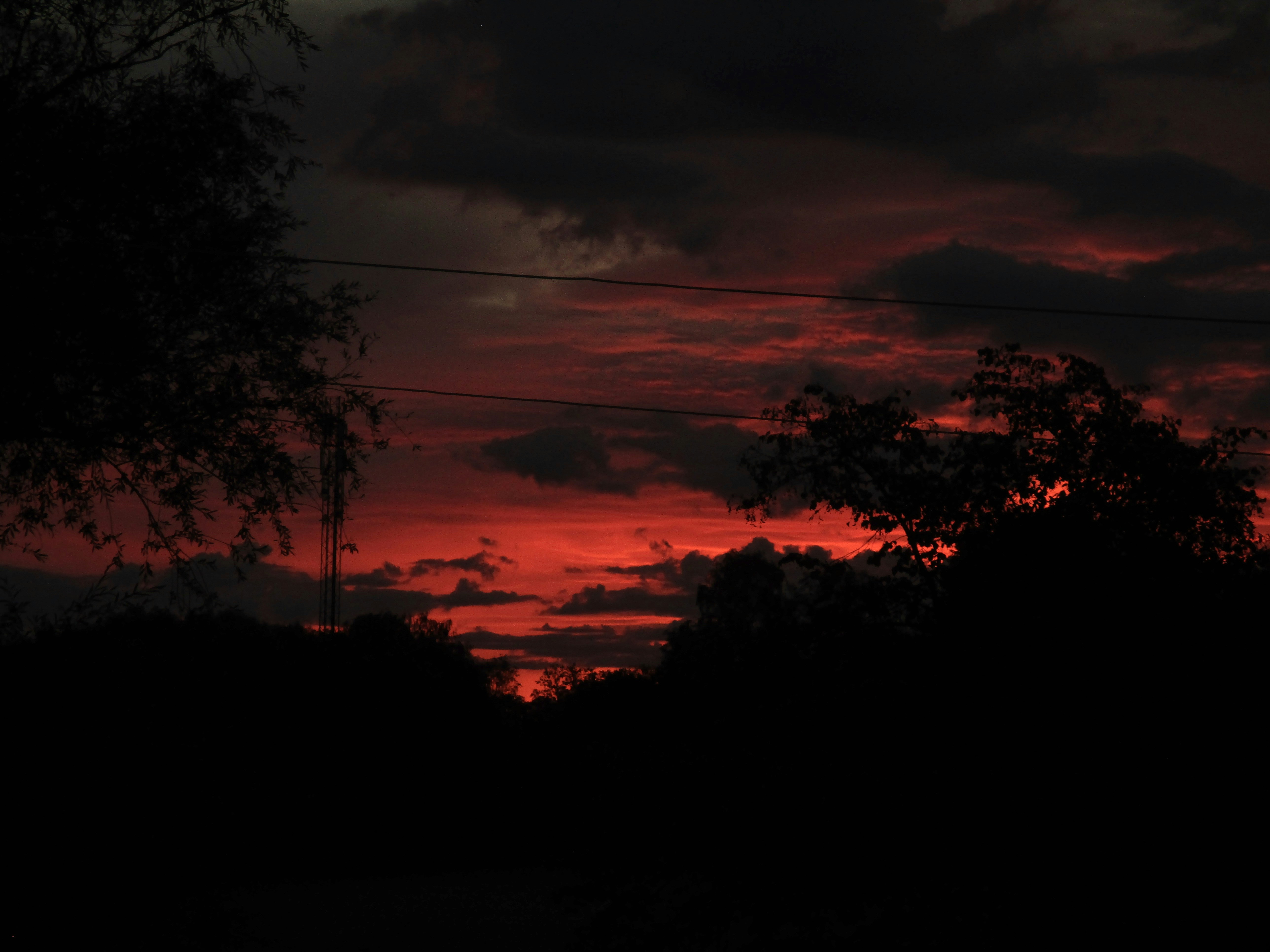 Silhouetted trees and a deep red sunset fill the horizon, creating a moody landscape with a dark foreground and vibrant sky.