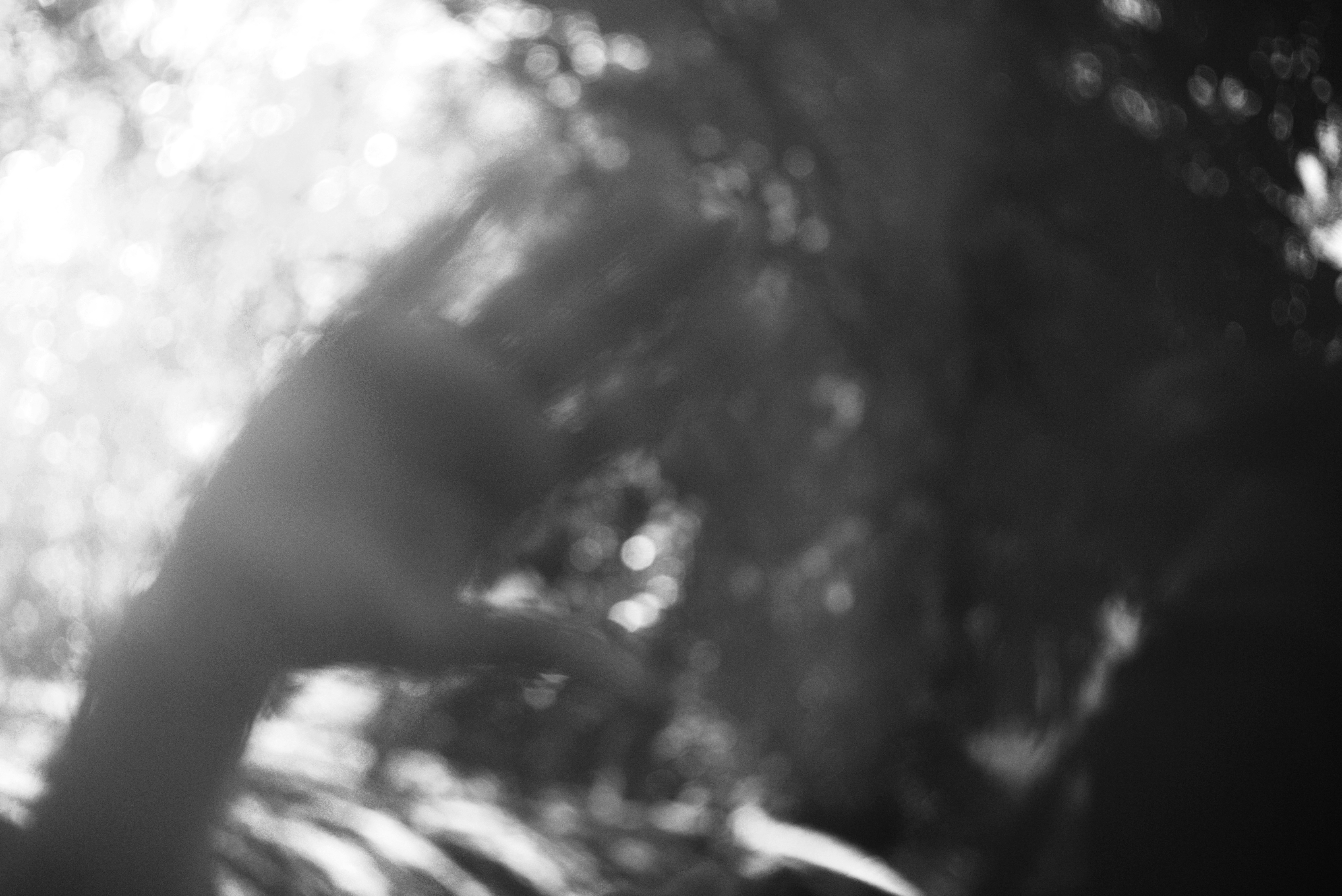 Soft Shadowed Gesture: A Blurred Moment Beside Dappled Light
