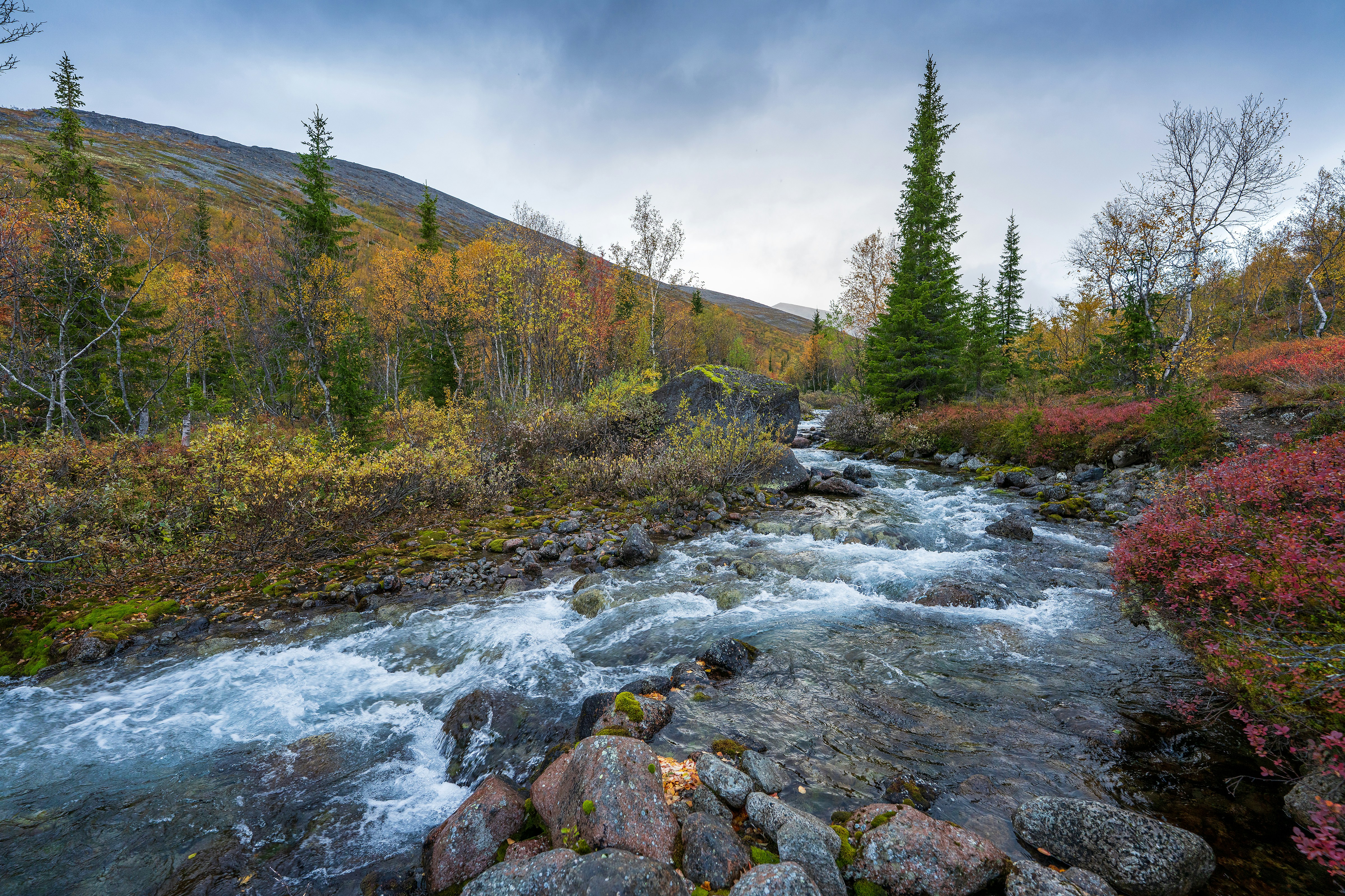 Autumn River Runoff Through a Shifting Palette