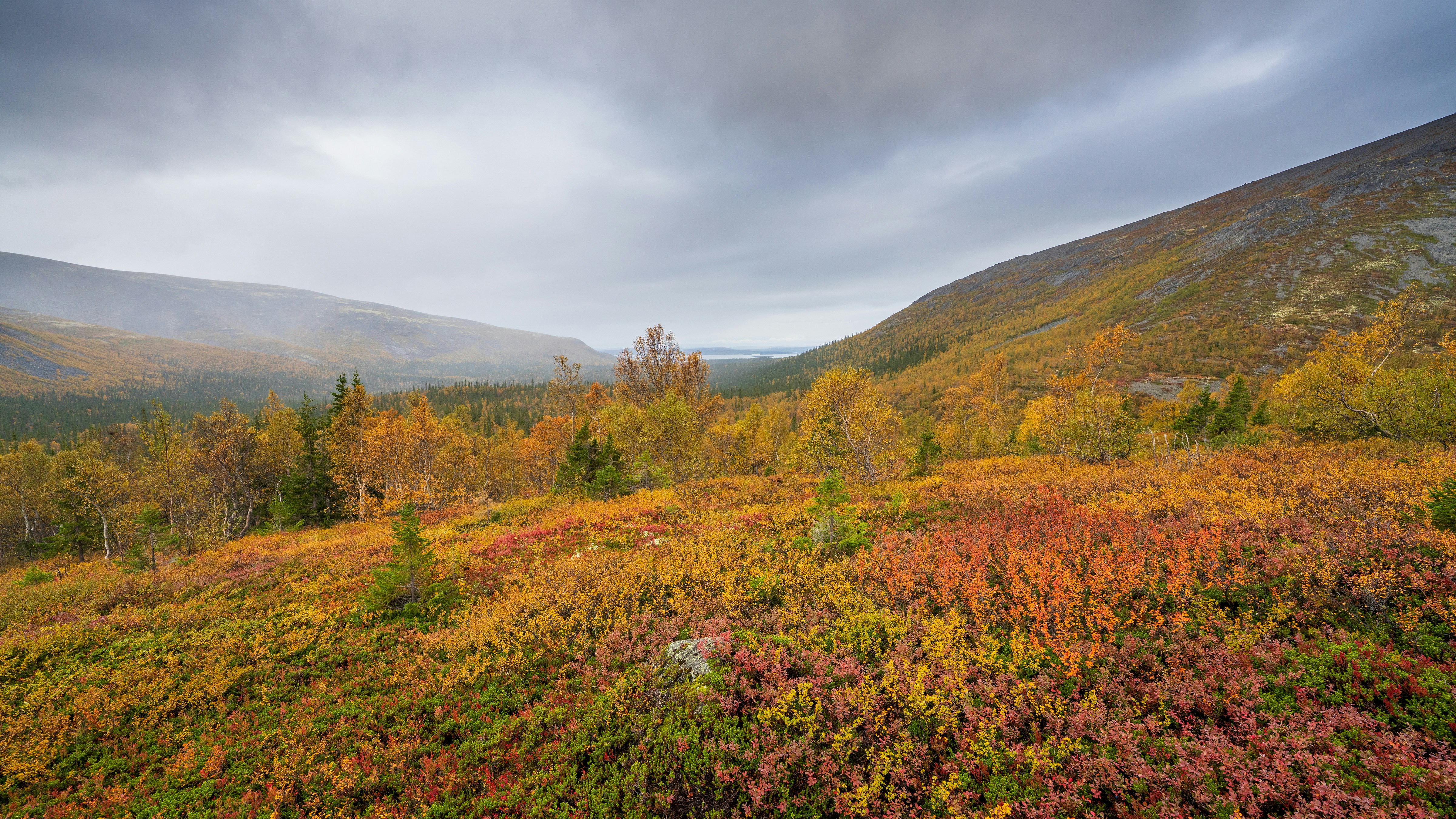 Autumn Tapestry Over the Valley