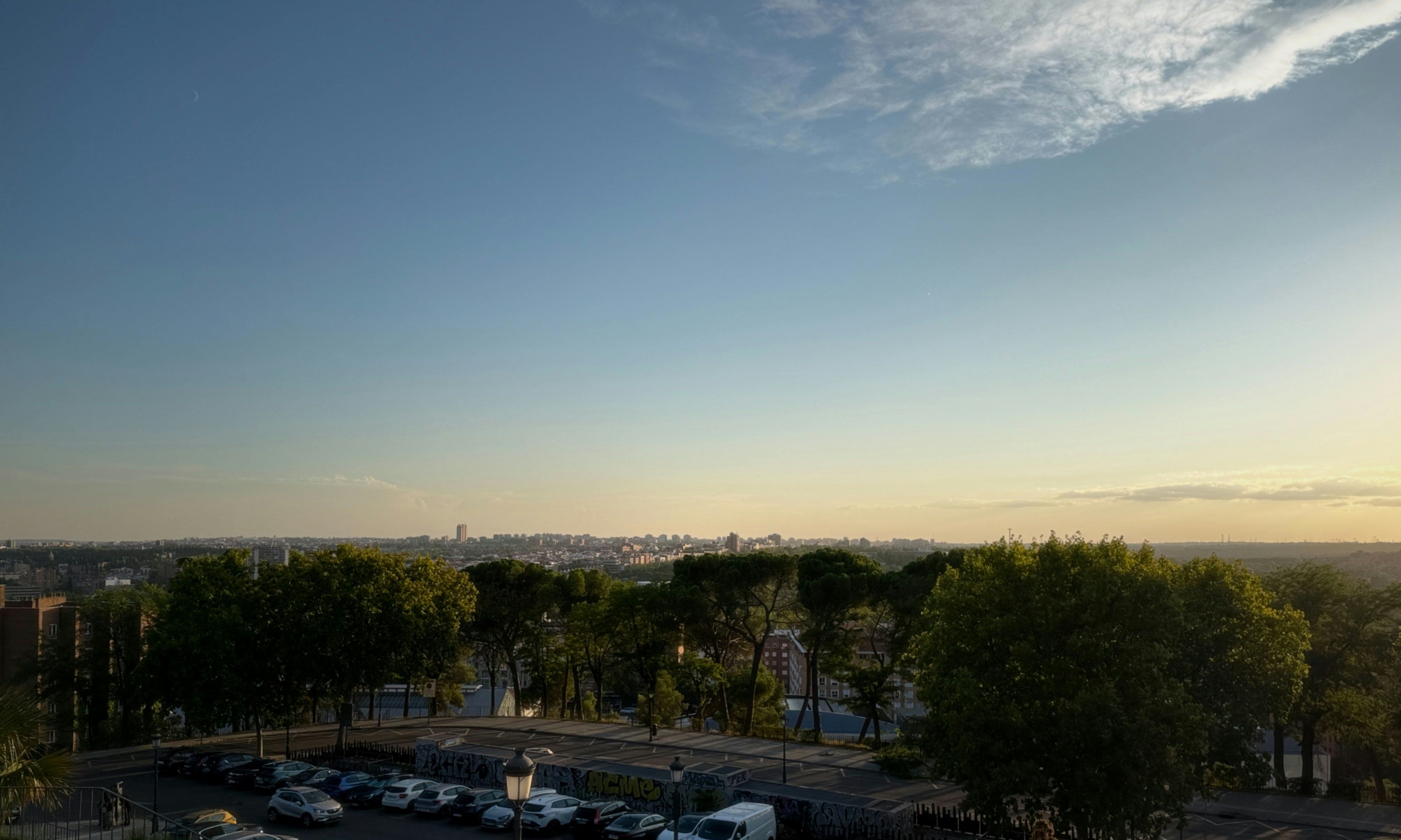 Dusk Over the Row of Trees: City Edges and Quiet Parking Lot