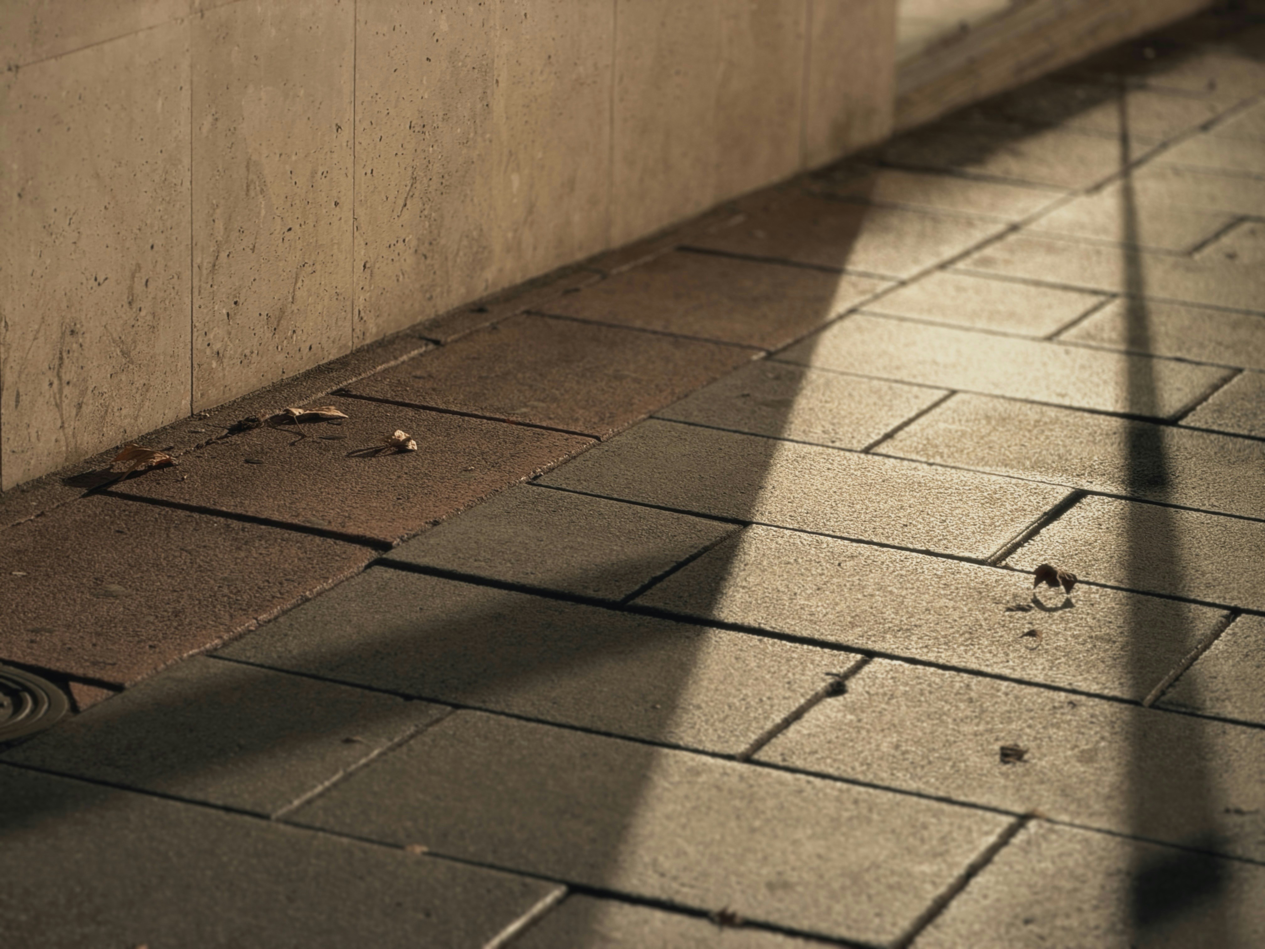 Shadowed Edge: Sunlit Tiles and a Narrow Passage