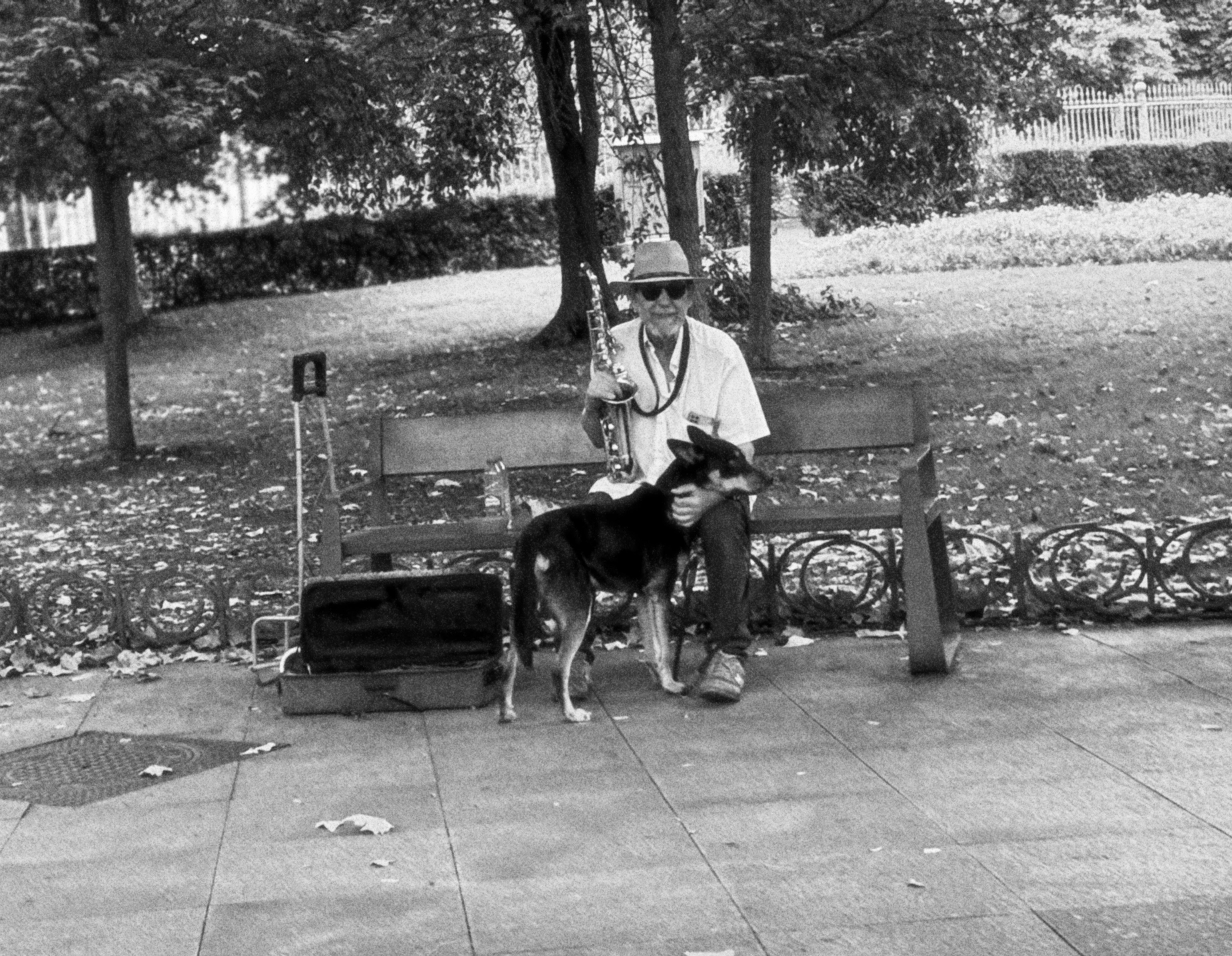 Street Serenade: A Man with a Guitar and Dog on a Park Bench