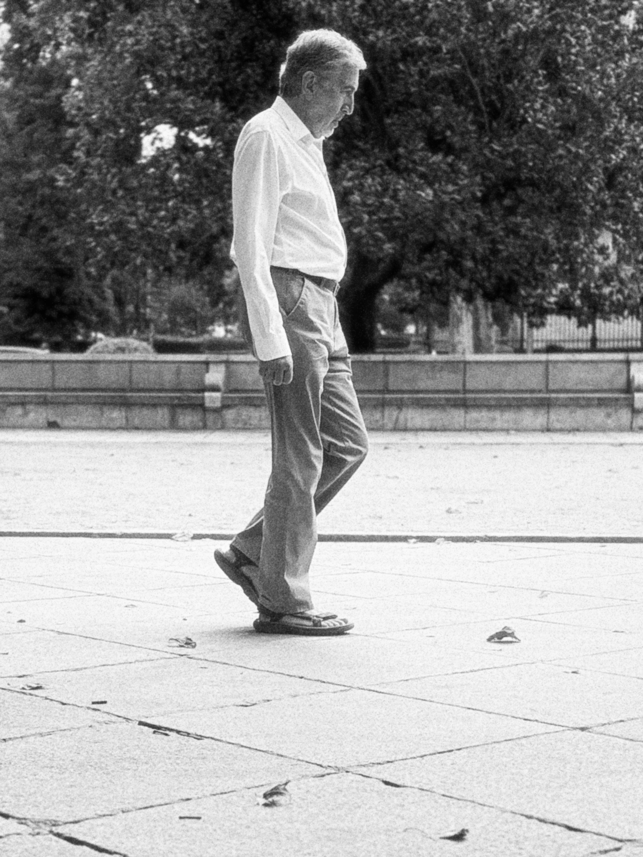 Gentle Steps in the Park: A Solitary Walk