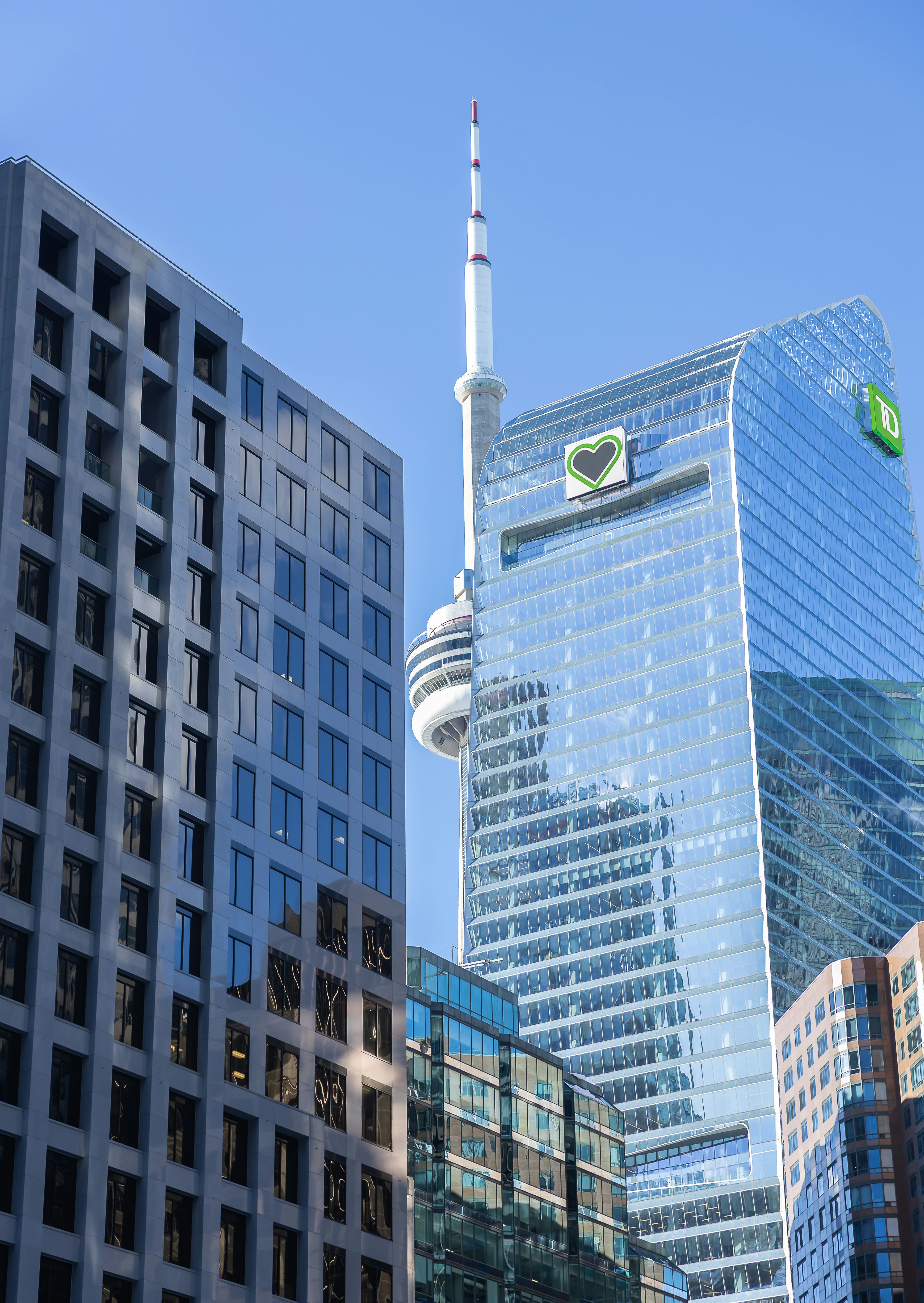 Skyline in Focus: The Tower and Glass Curtain of a Modern City