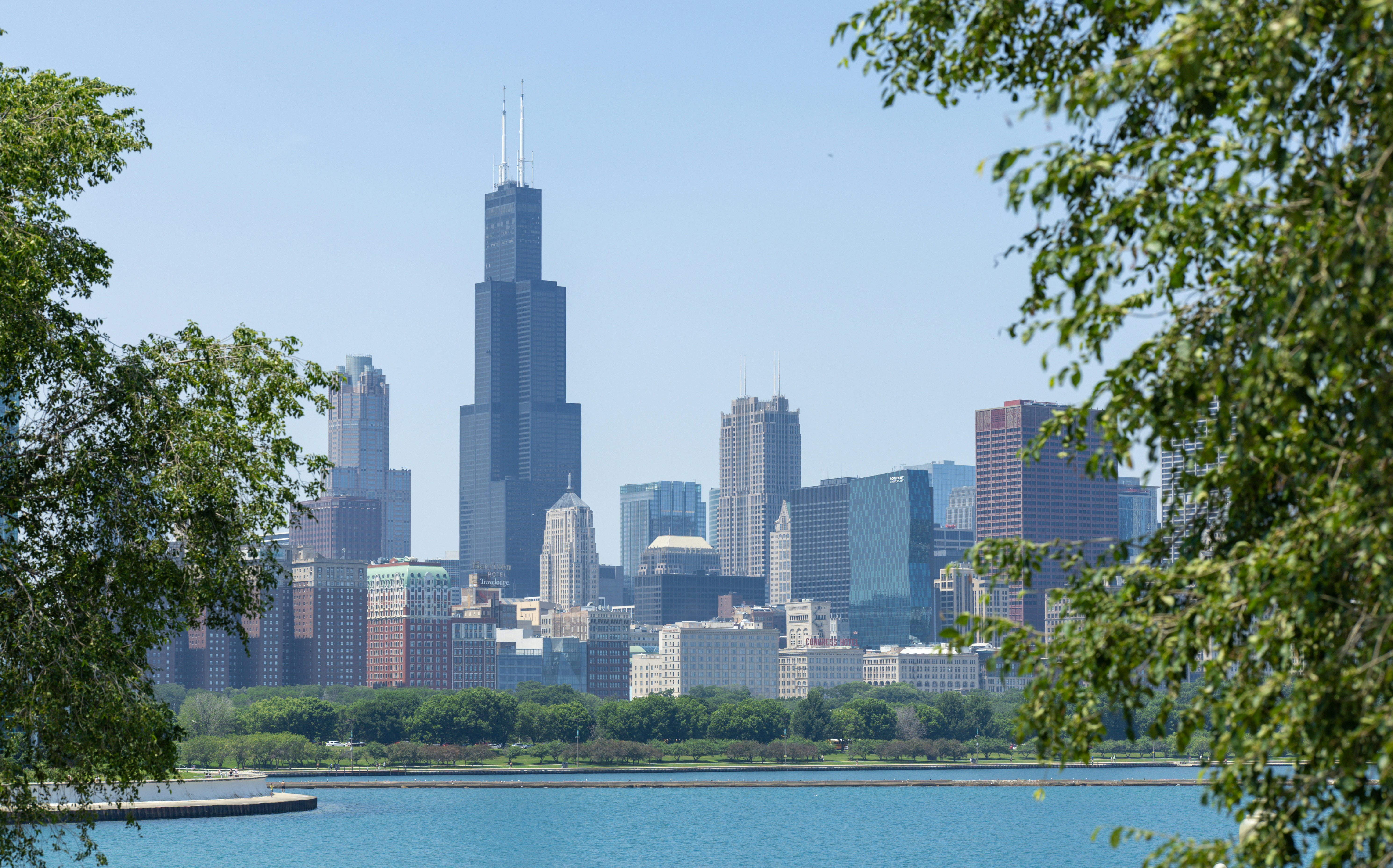 Chicago Skyline Across the River: A Clear Day with Framing Foliage