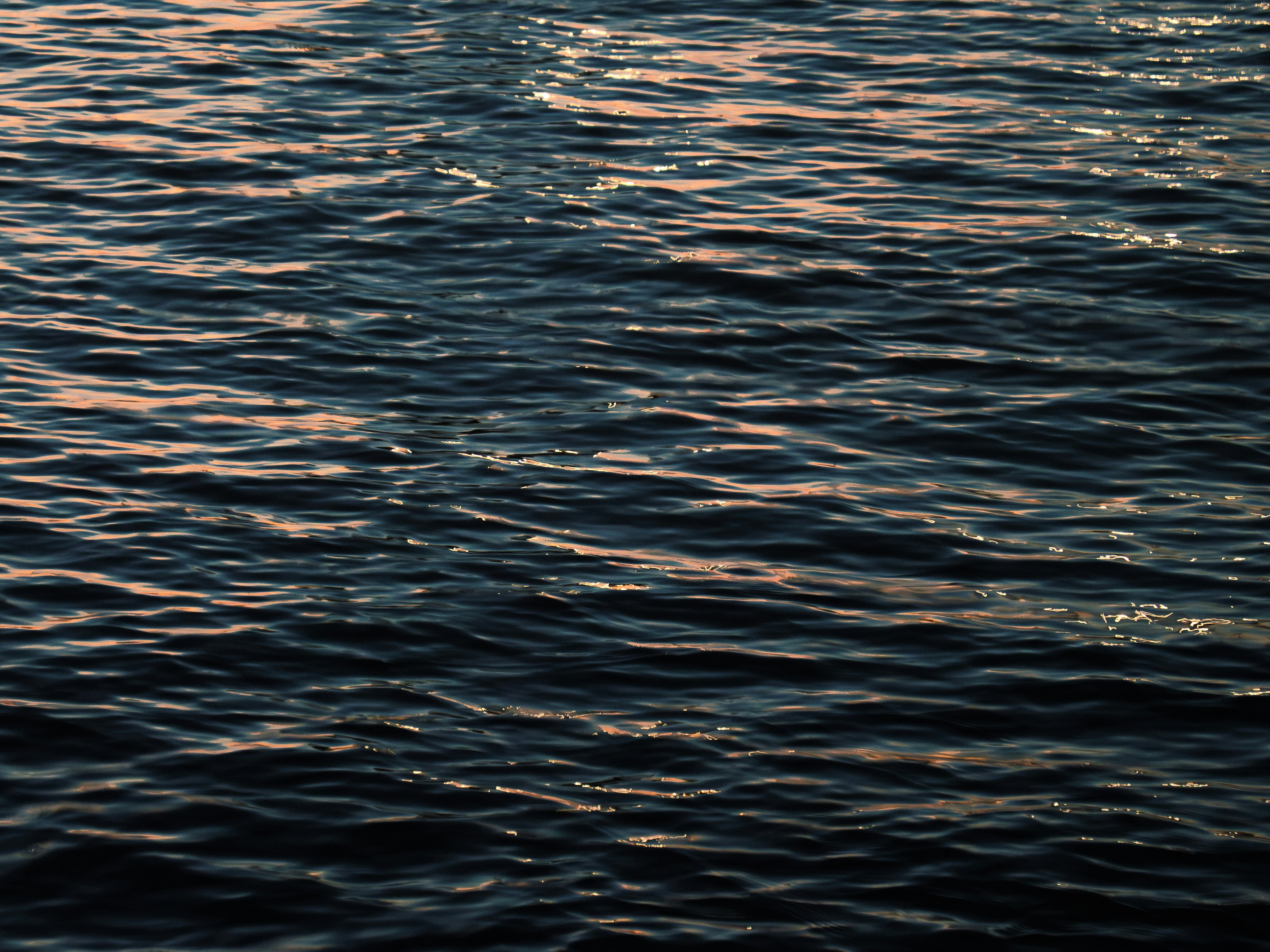 Twilight Ripples: A Quiet Study of Waterlight