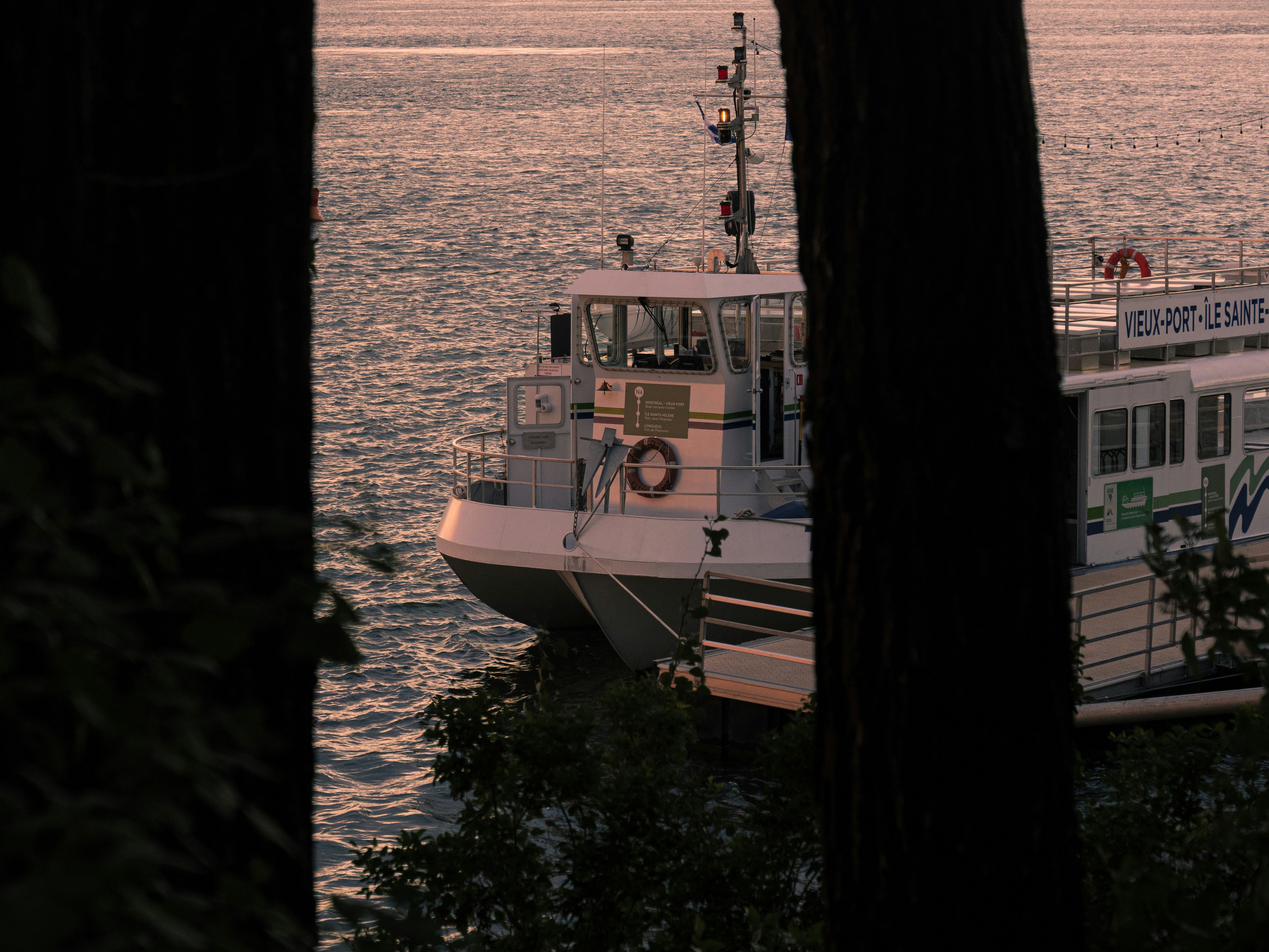 Photo by Phil Desforges with Panasonic Lumix G9
