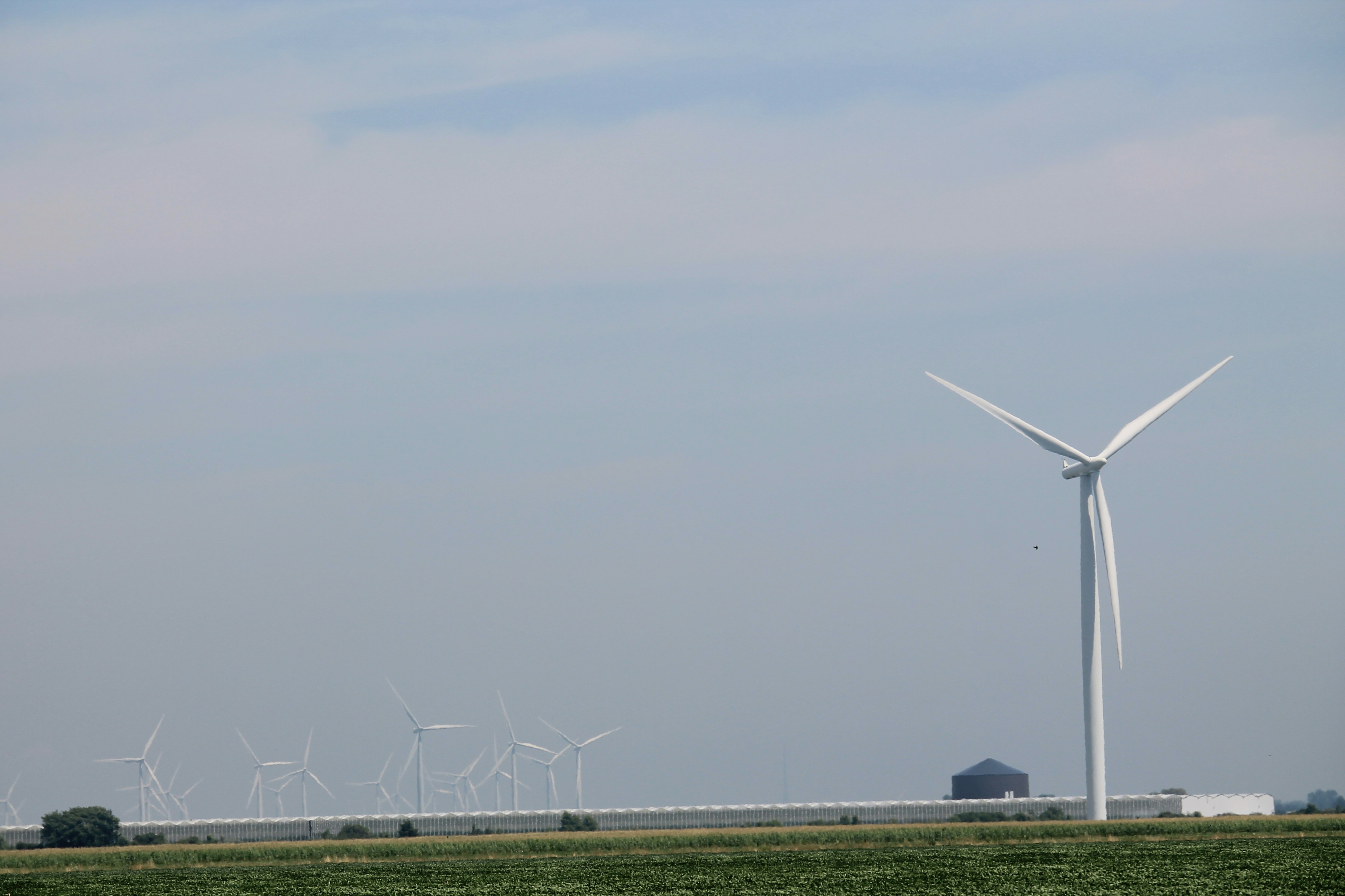Wind Farm Horizon: A Quiet Field of Giants