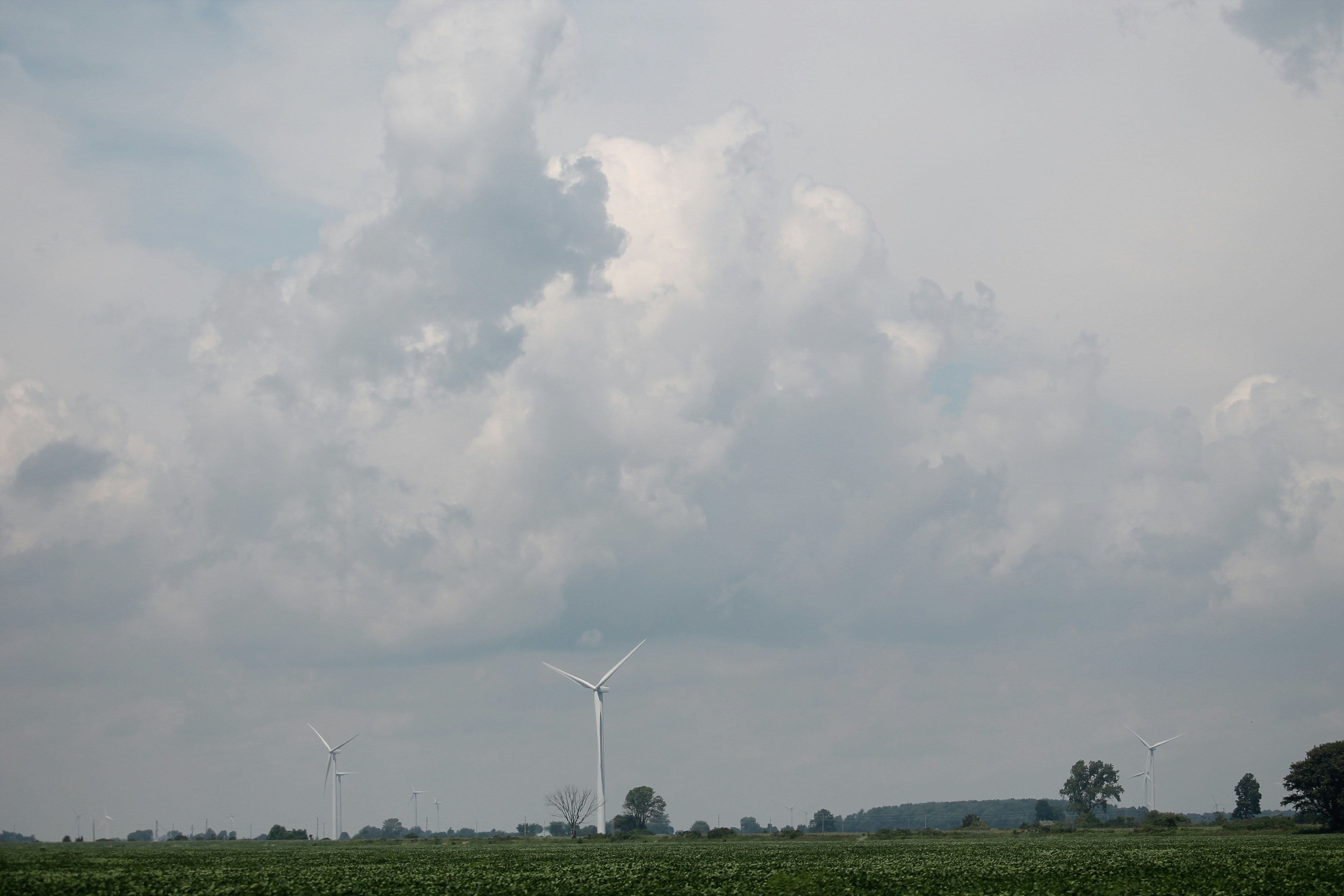 Wind Turbines on a Quiet Field under Expansive Sky