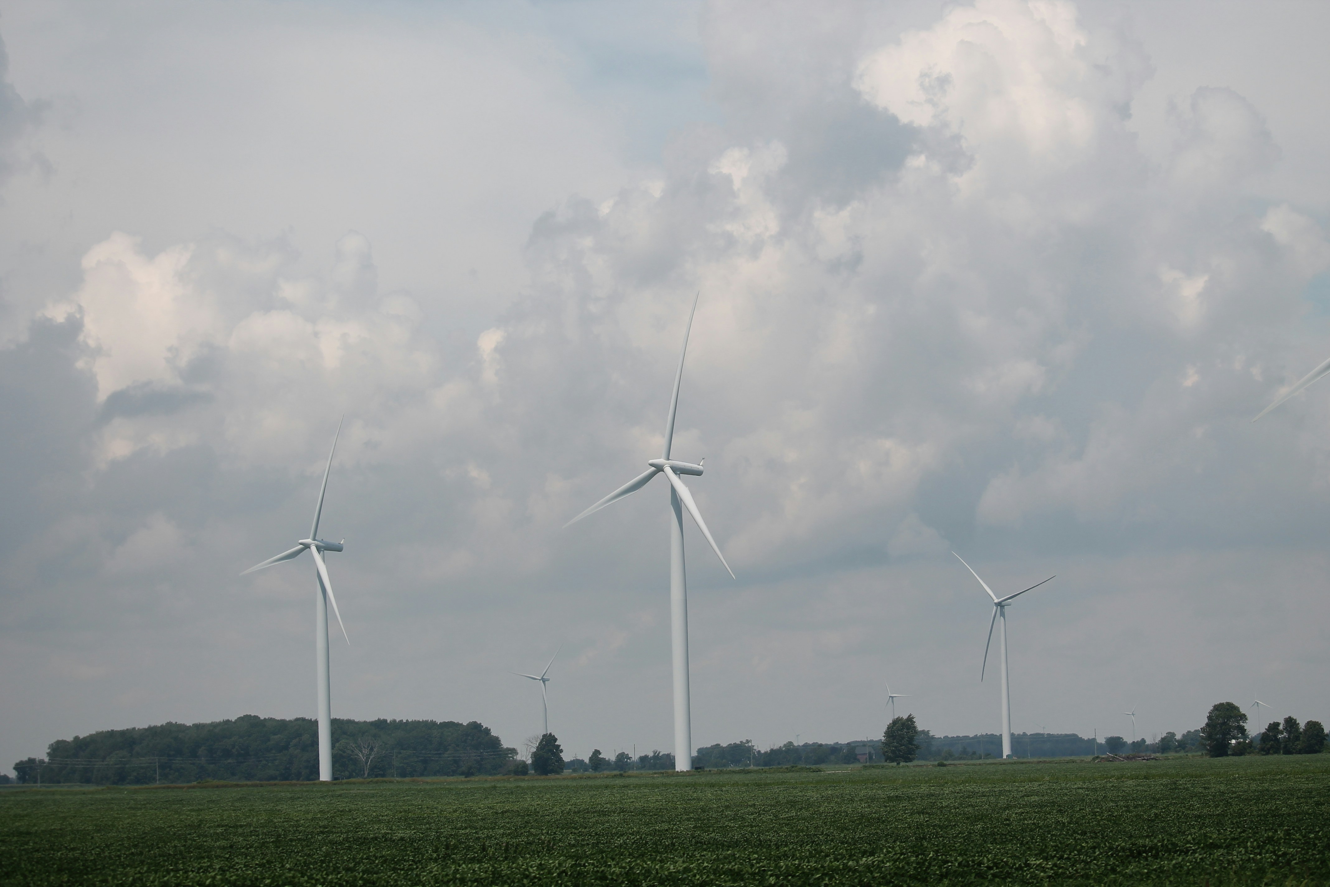 Wind Giants on the Prairie