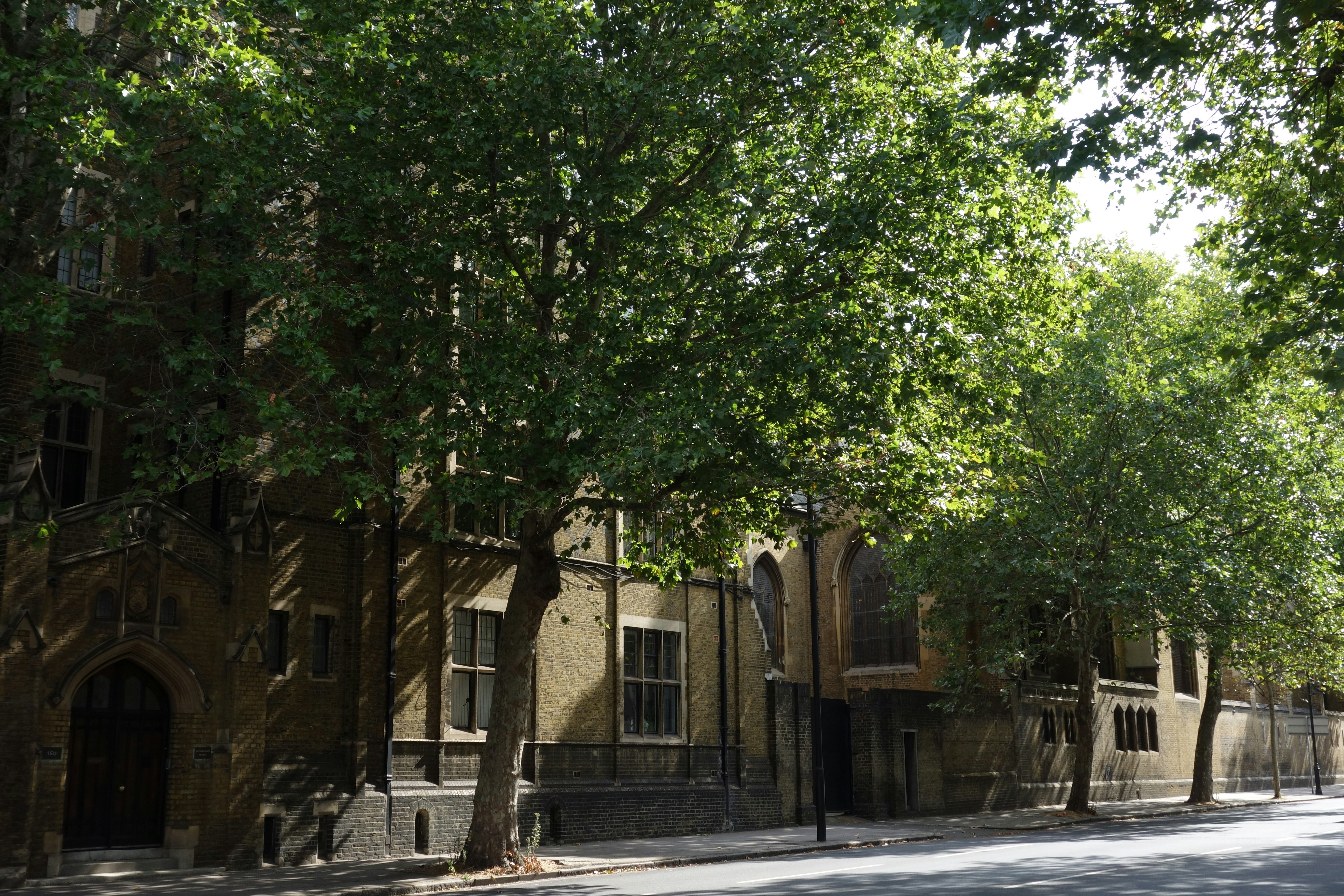 Sunlit urban campus facade with brick building and mature trees along a sidewalk in calm afternoon light.