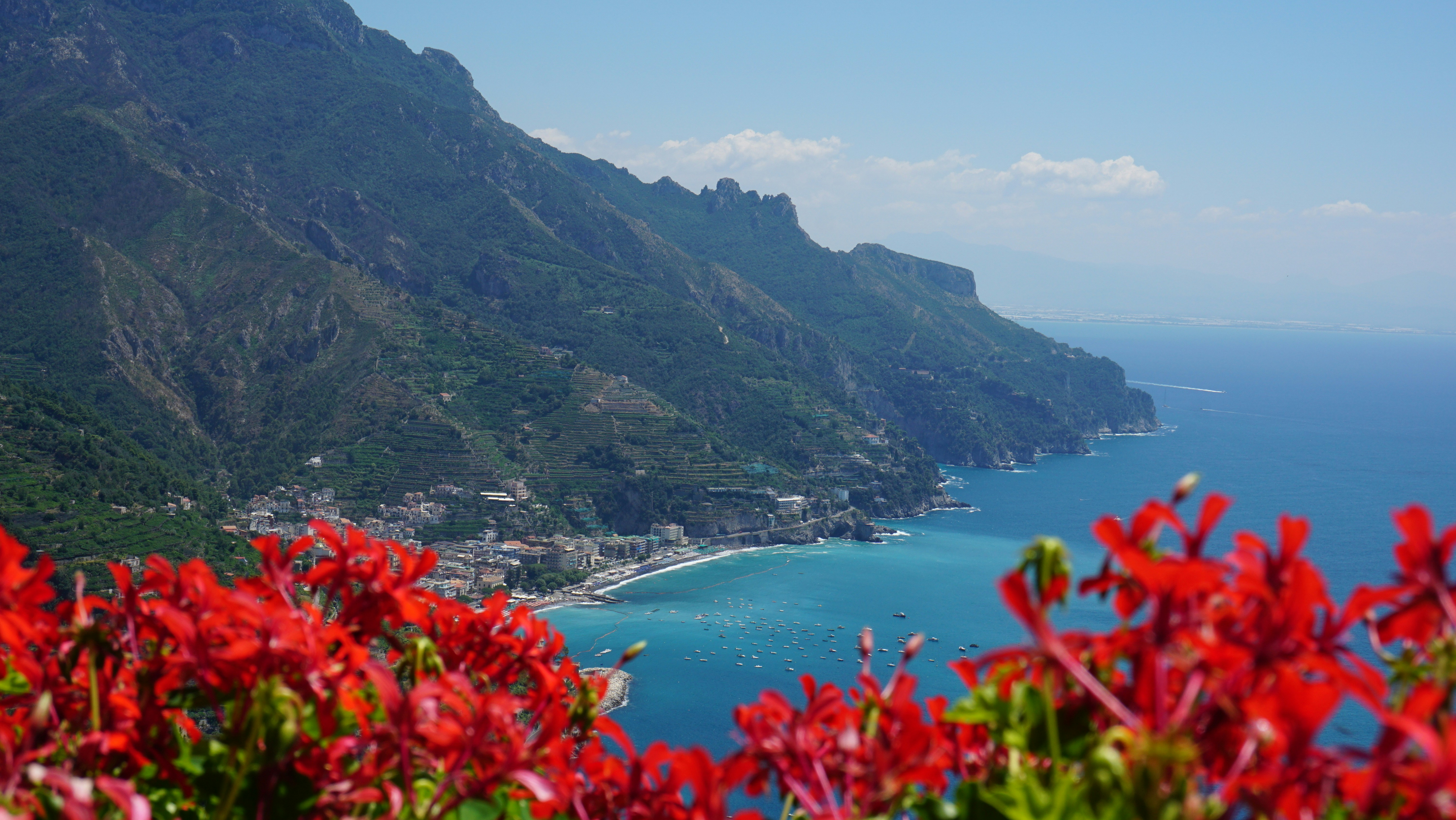 Crimson Blooms framing a Mediterranean coastline