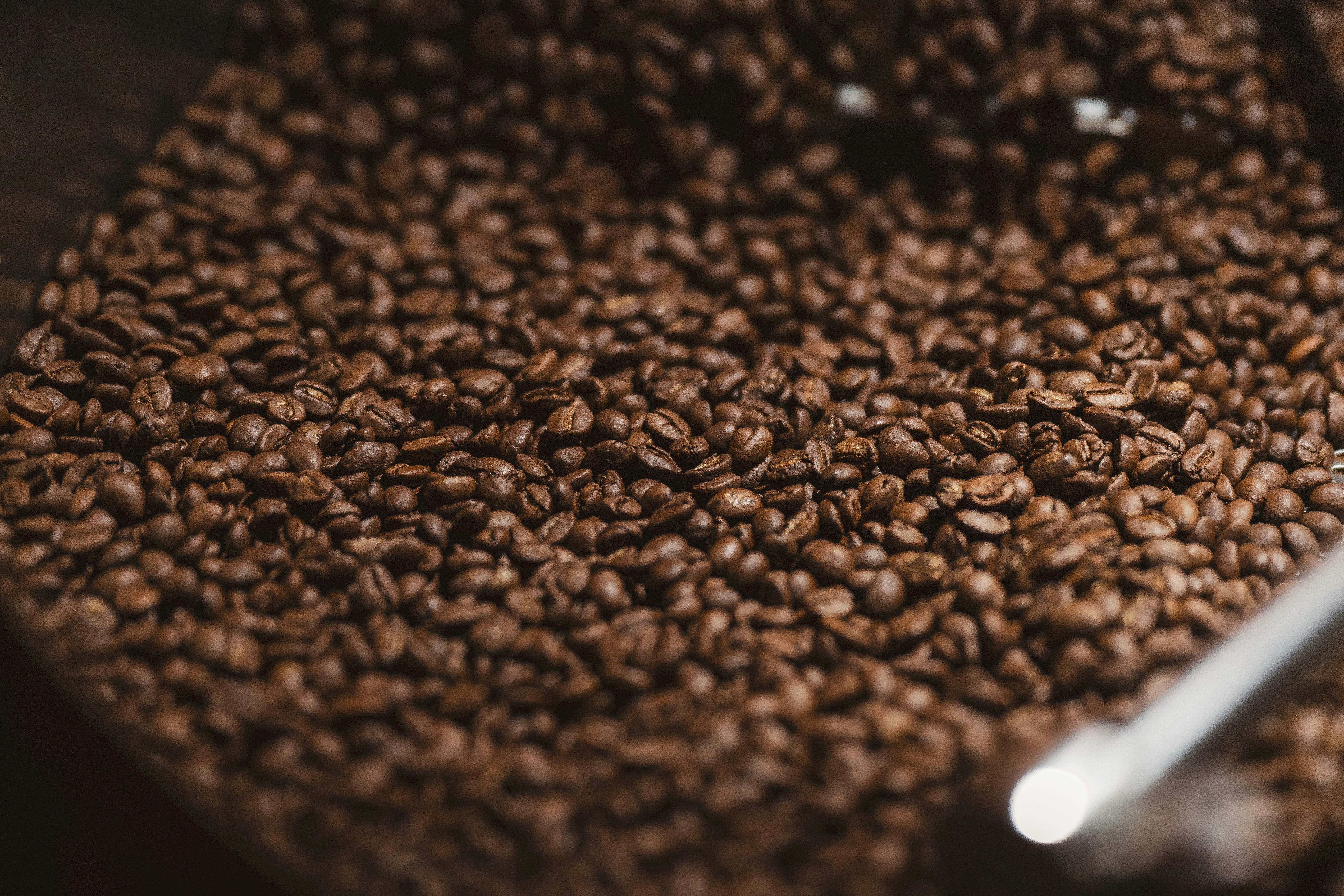 Roasted Coffee Kernel Cosmos in a Copper Roaster