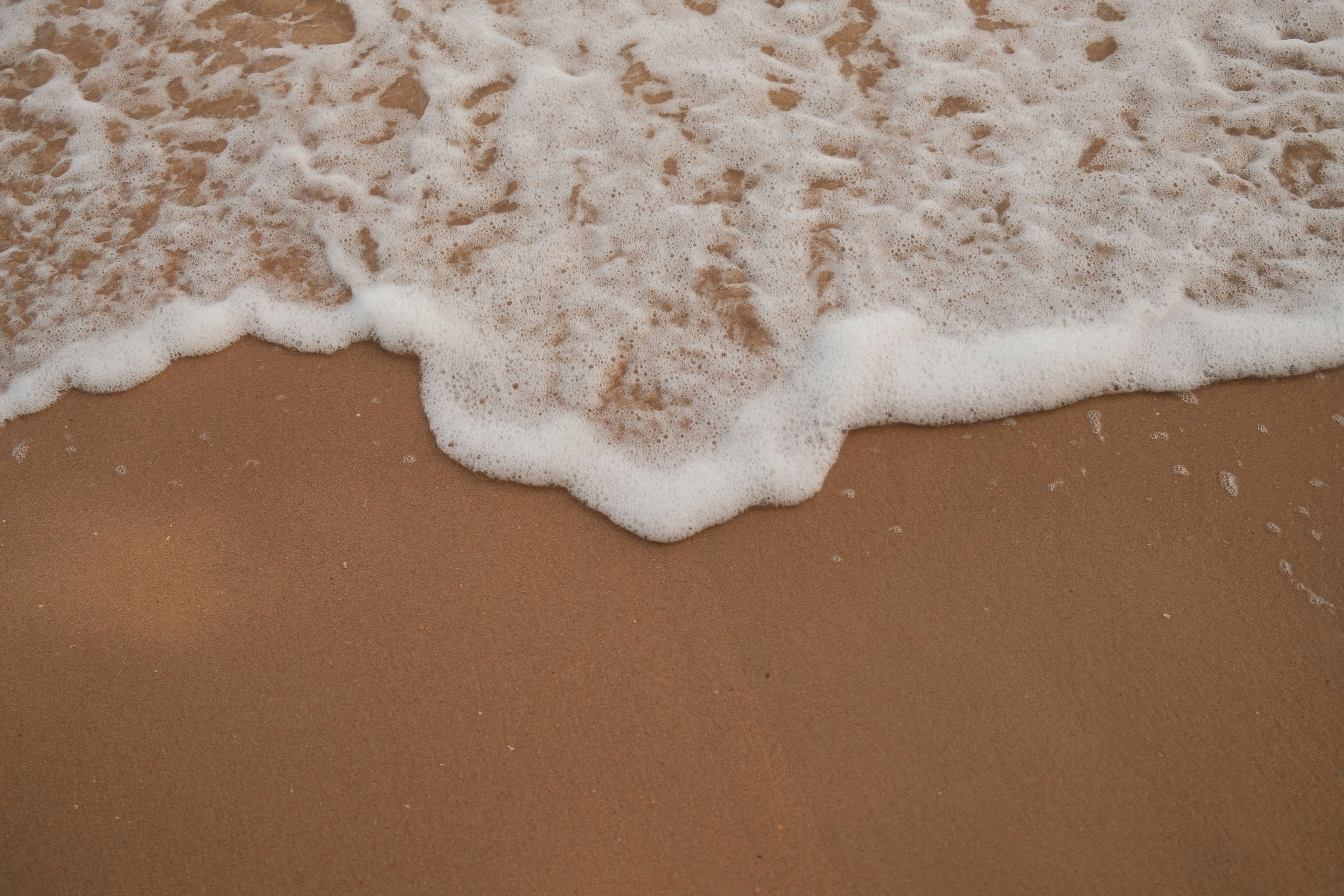 Foamy Edge: A Quiet Shoreline Breathes in Soft Light