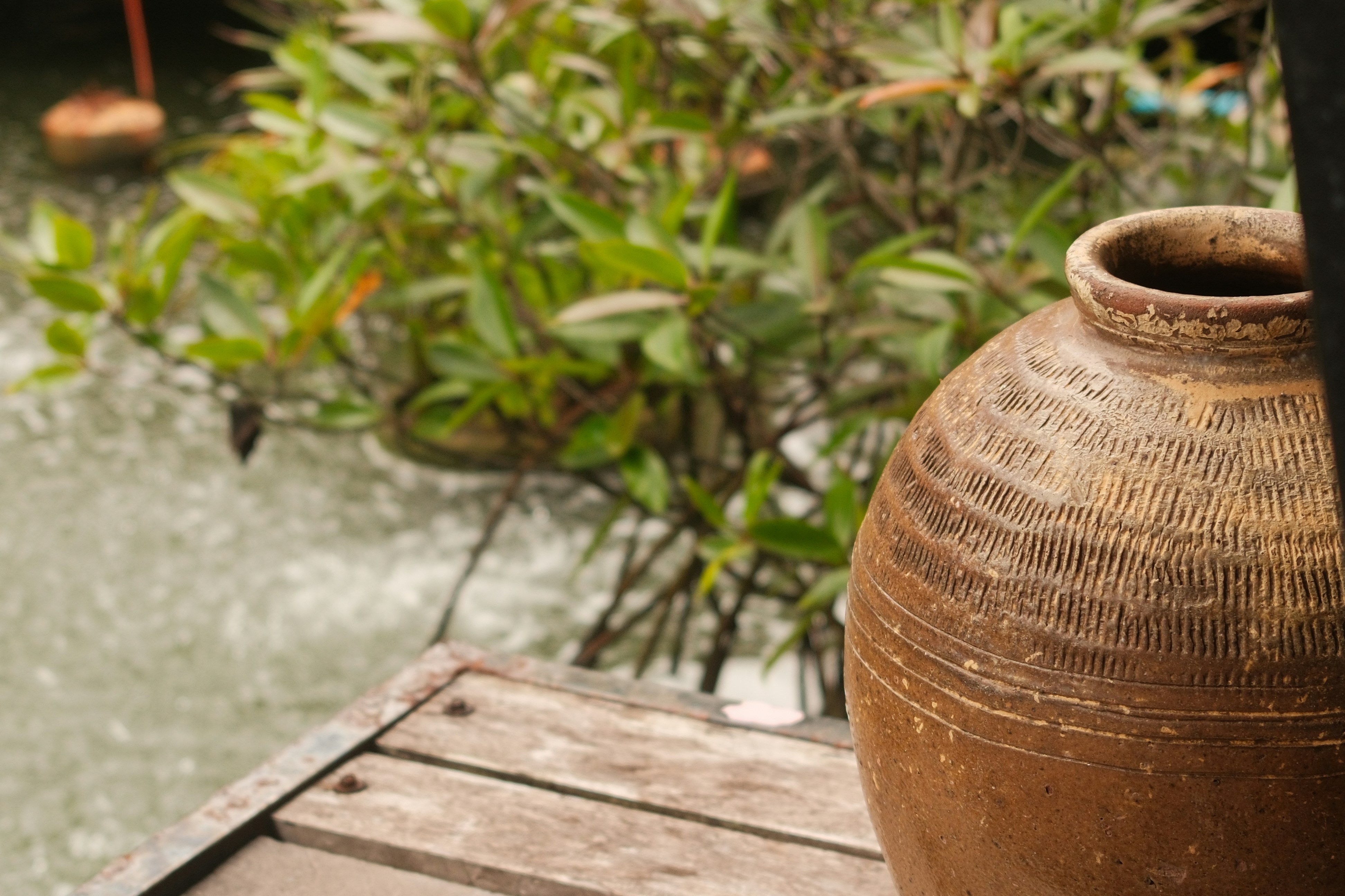 Terracotta Vessel by the Pond: Texture and Tranquility