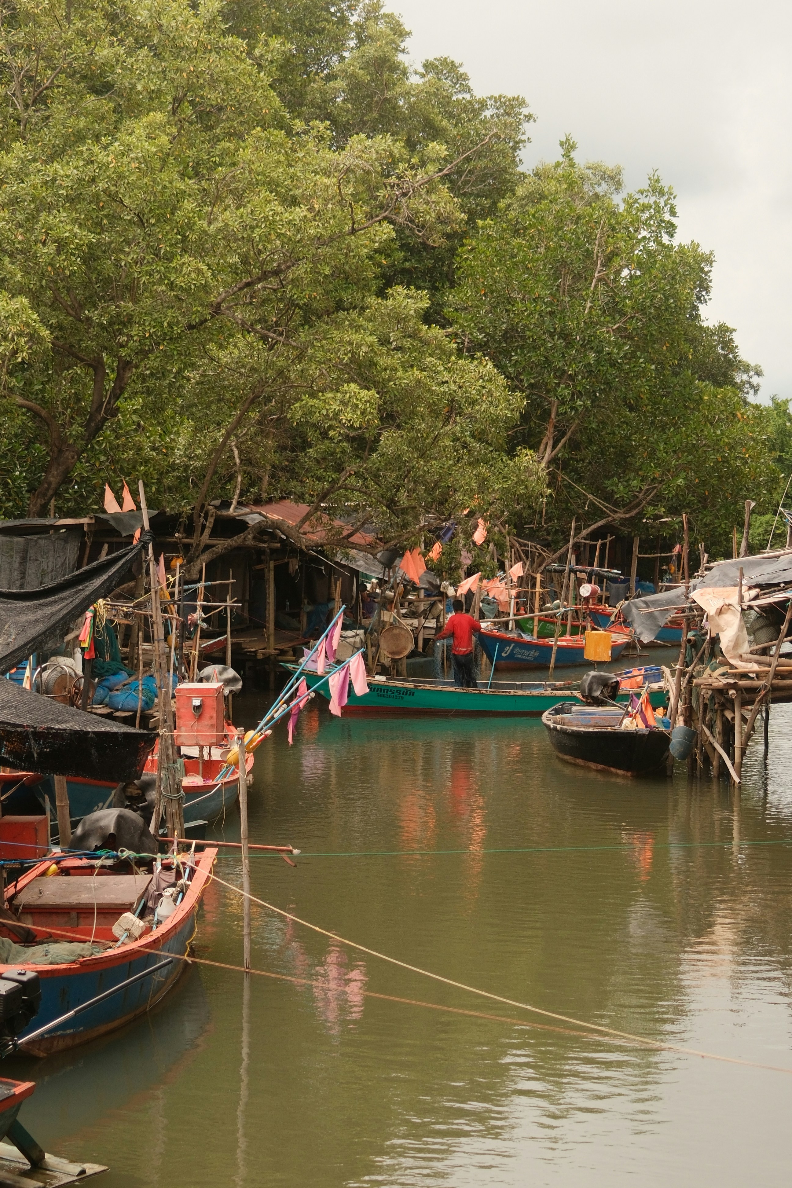 Harbor of Quiet Currents: Boats Tethered in a Mangrove Channel