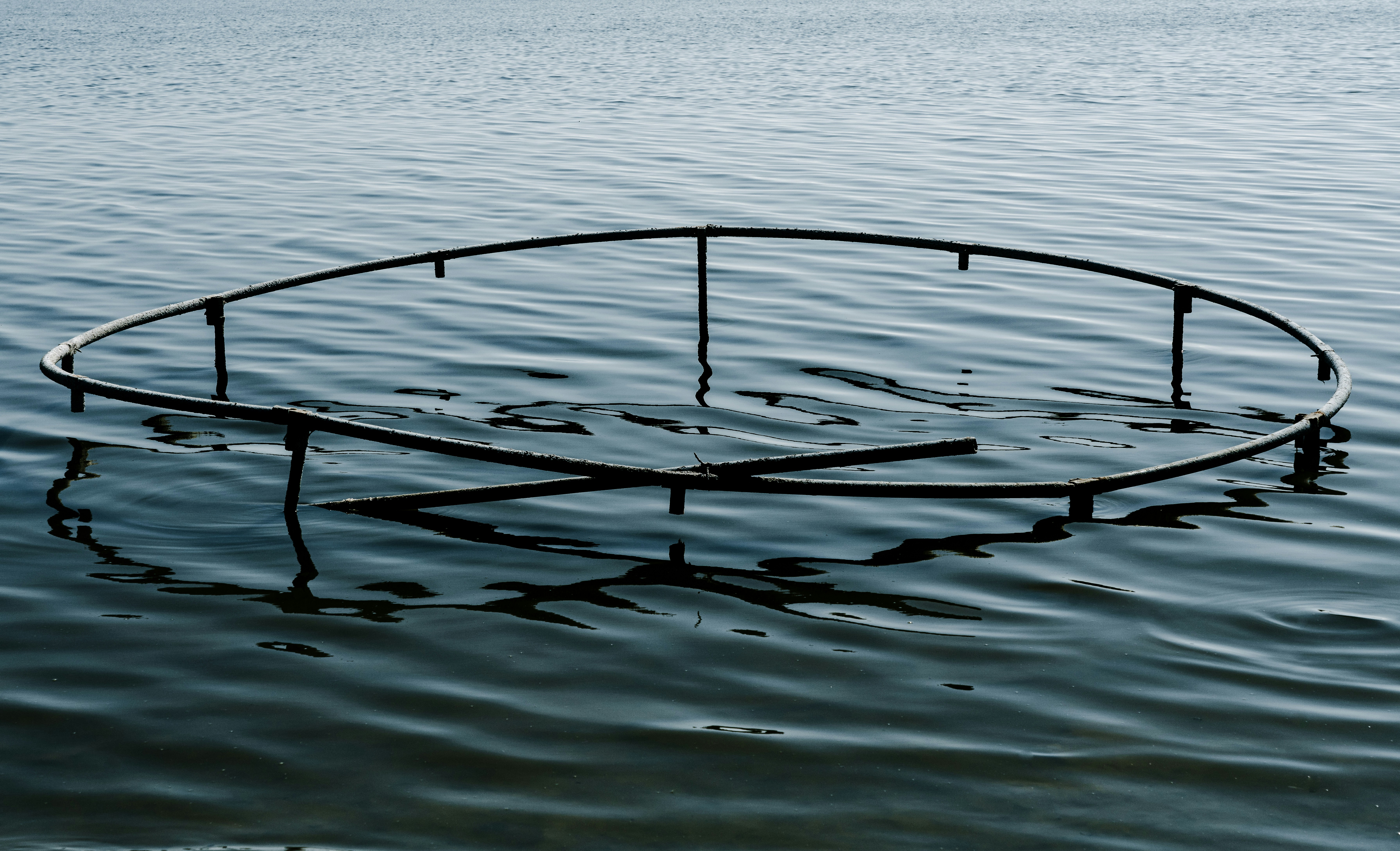 A circular metal frame drifts on calm water, with soft reflections and ripples across the surface.