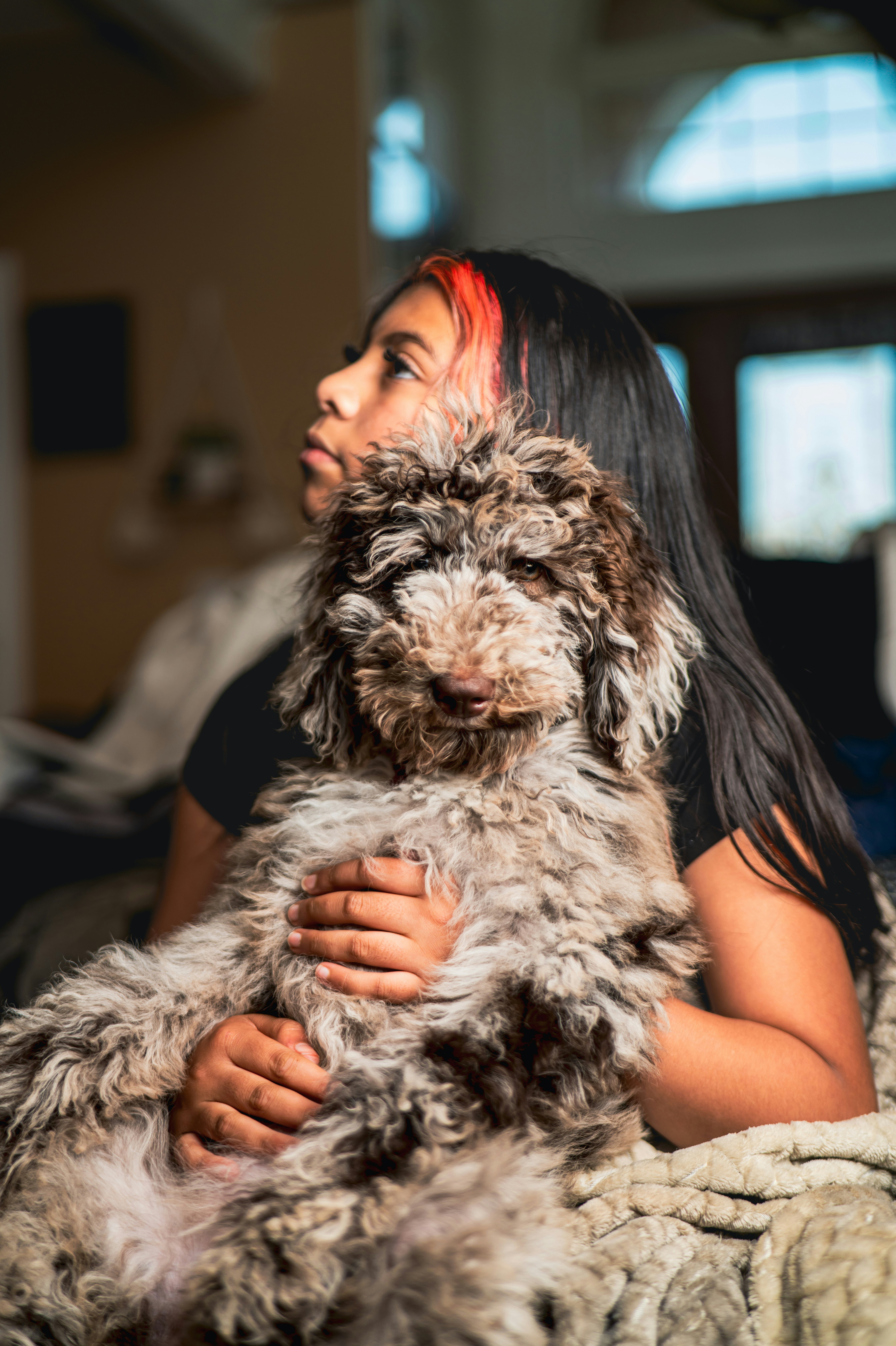 Warm Moment: A Girl Holding a Fluffy Dog in a Cozy Indoor Setting