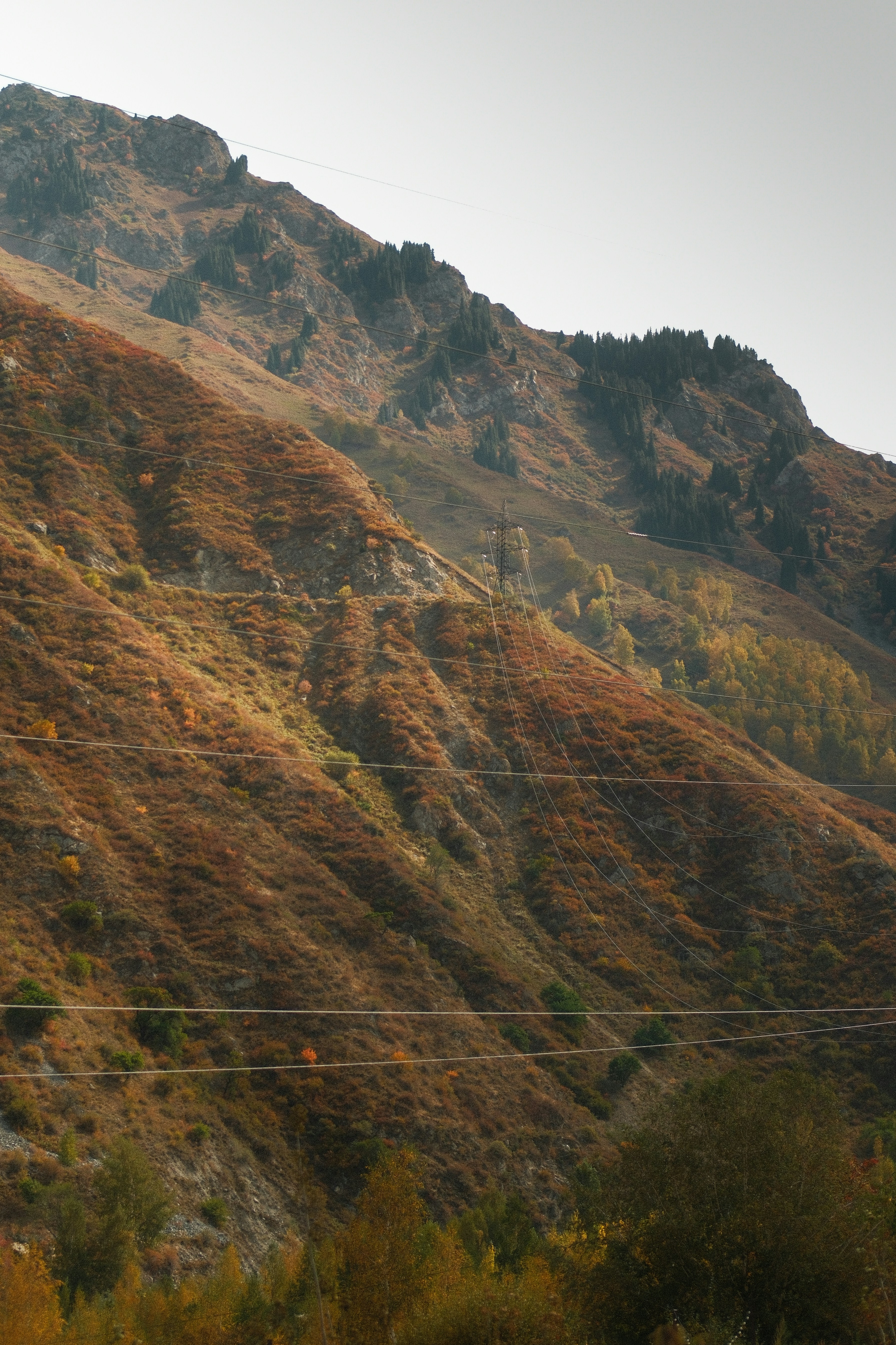 Golden hillside slopes with power lines cutting diagonally across a rugged mountain range in autumn tones.