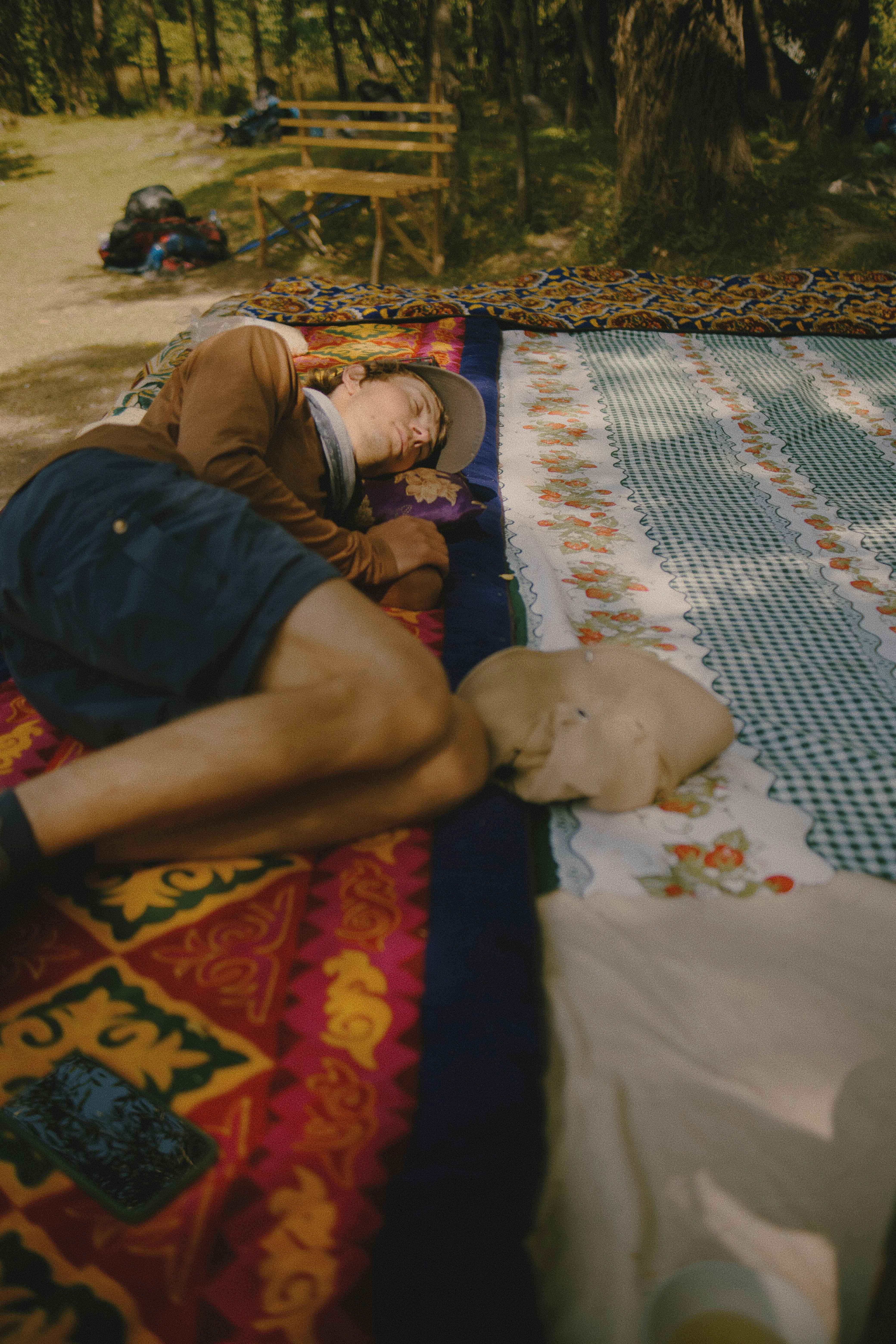 Nap Under the Dappled Park Shade on a Colorful Picnic Quilt