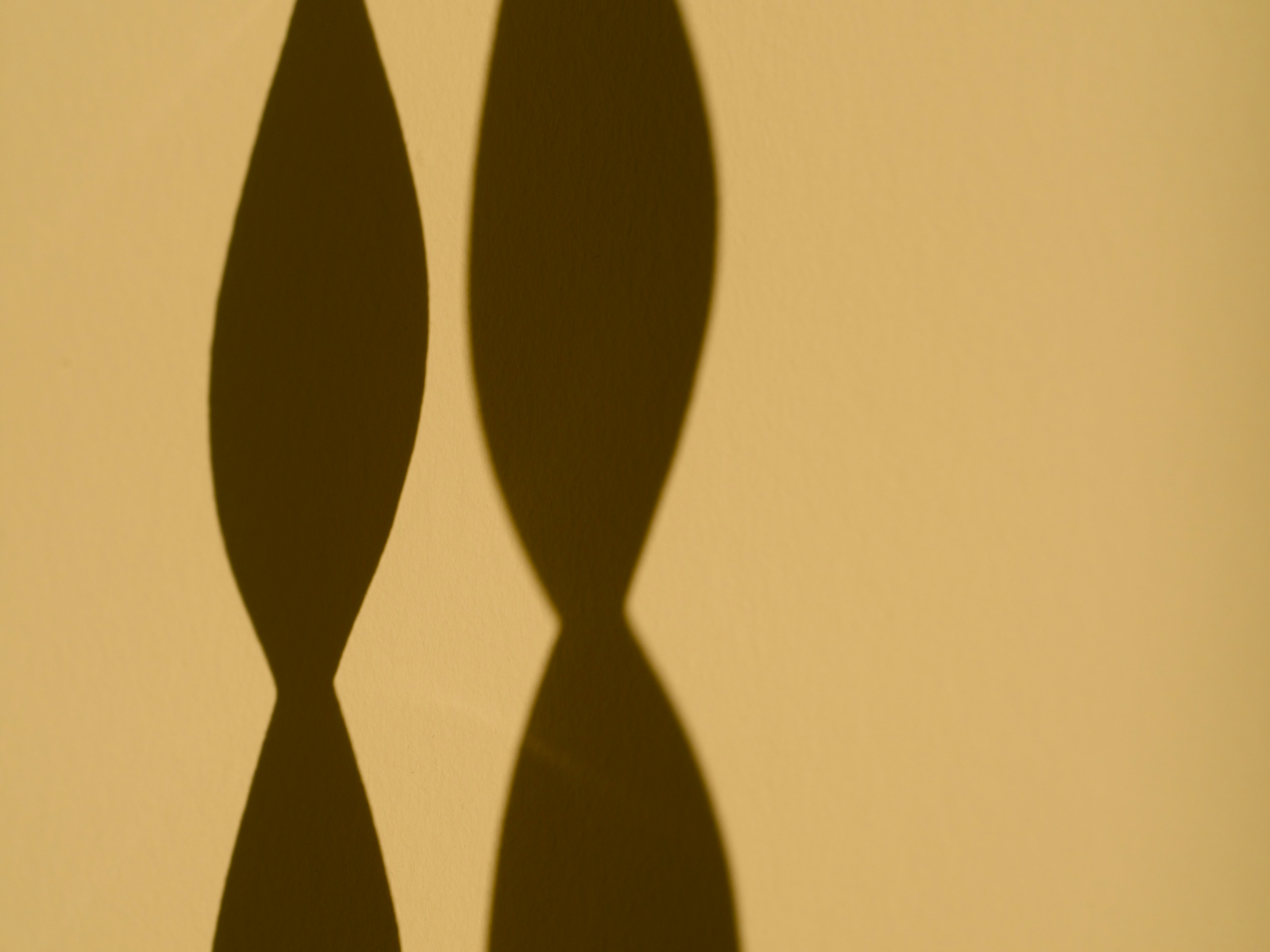Double Splay: Symmetric Ellipses Against a Warm Backdrop