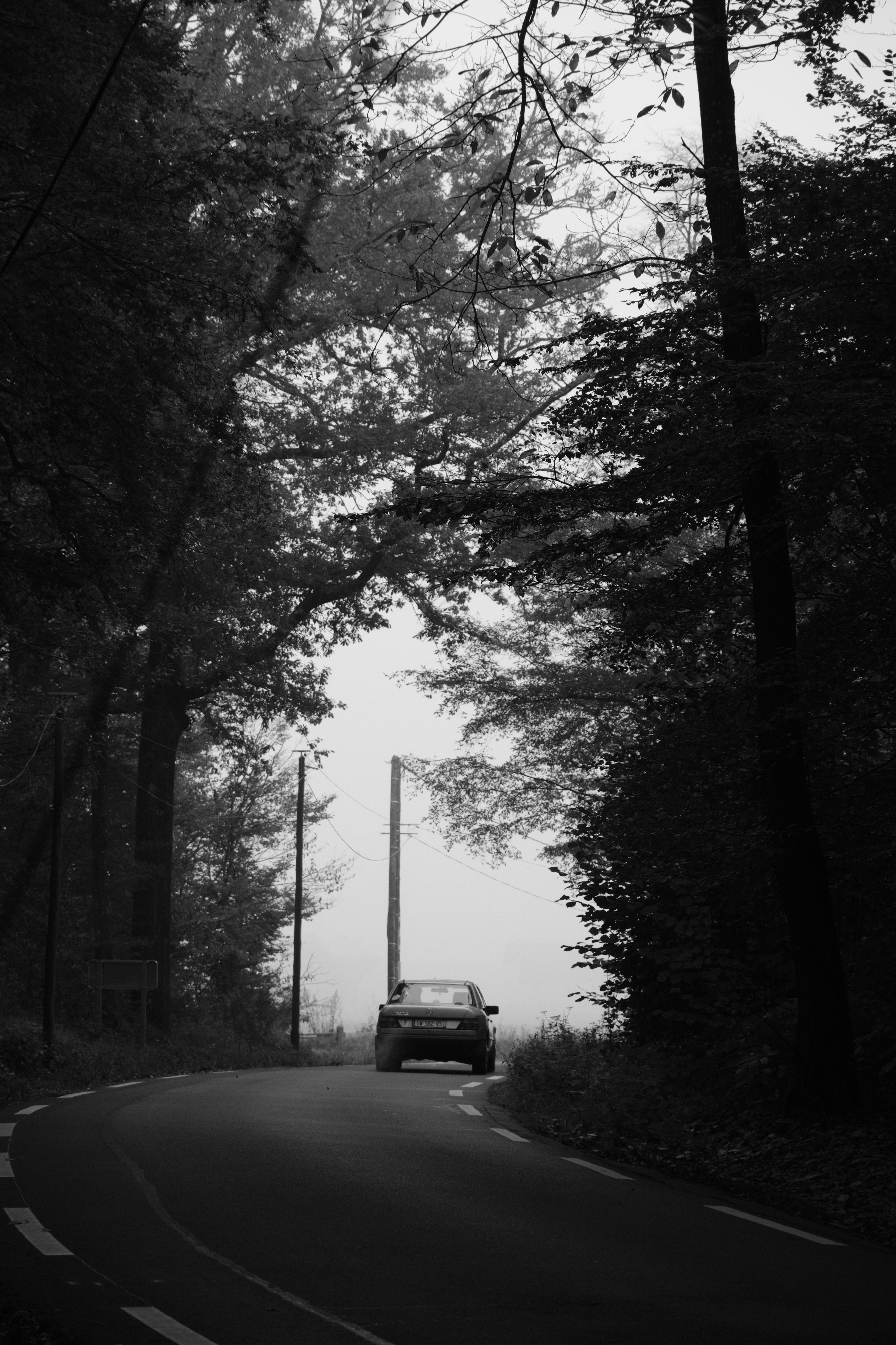 Moonlit Curves: A lone car on a winding forest road