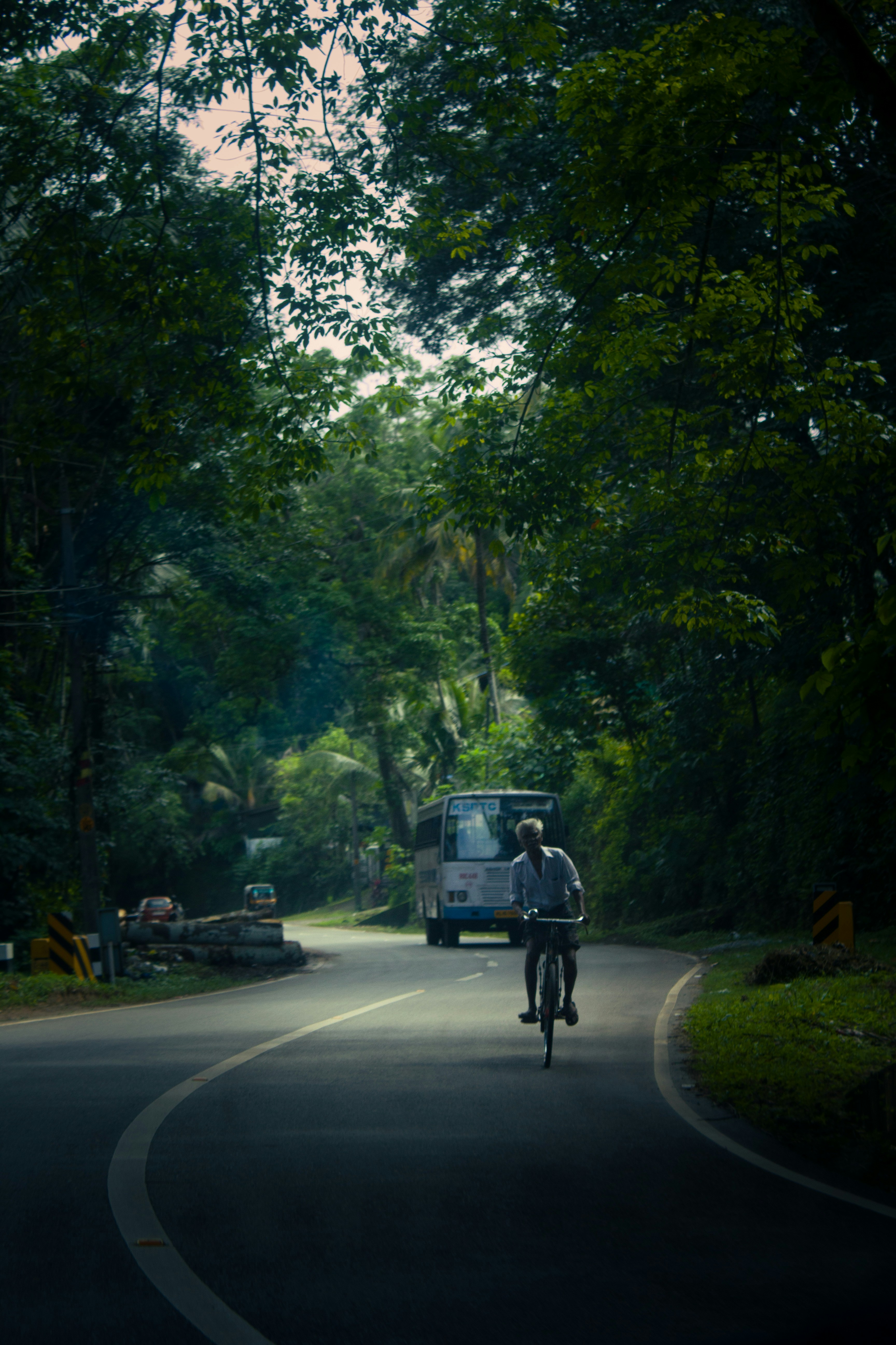 A cyclist rides toward the camera along a winding road bordered by dense trees; a bus and distant vehicles appear further down the lane, suggesting a tranquil rural scene with depth and motion.