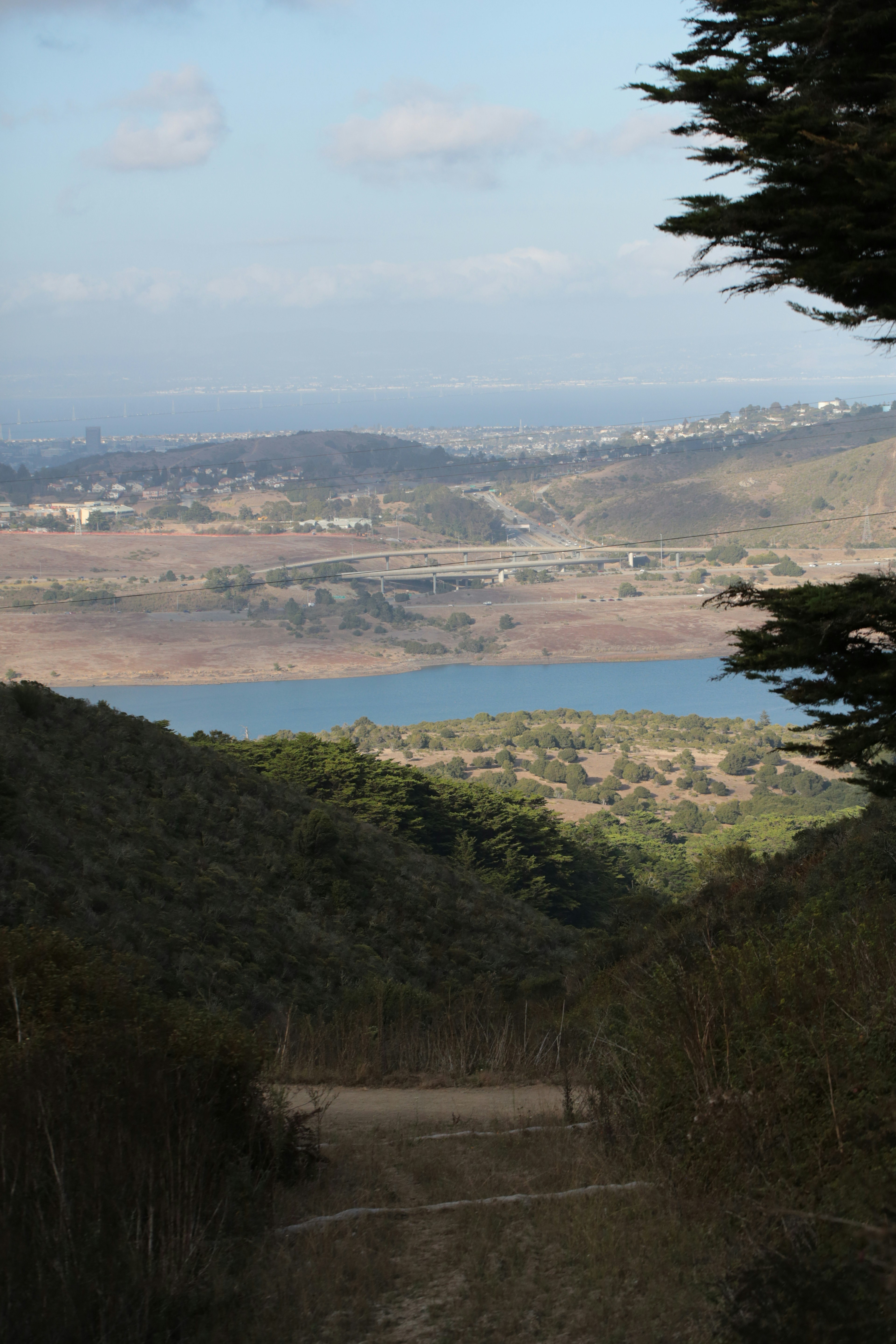 Valley Vista: A Winding Path to the Distant Bay