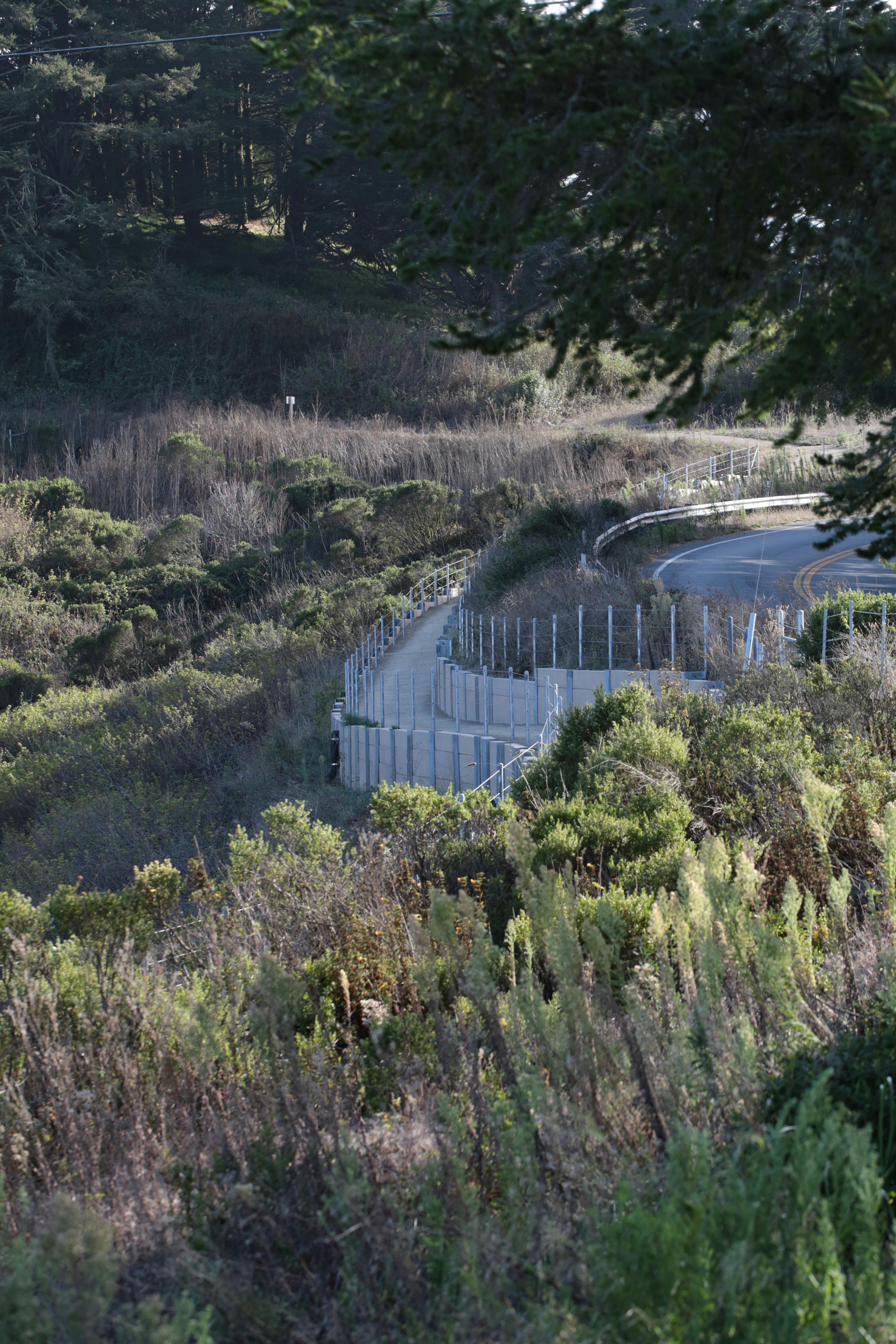 Curved hillside road through a sunlit coastal scrub