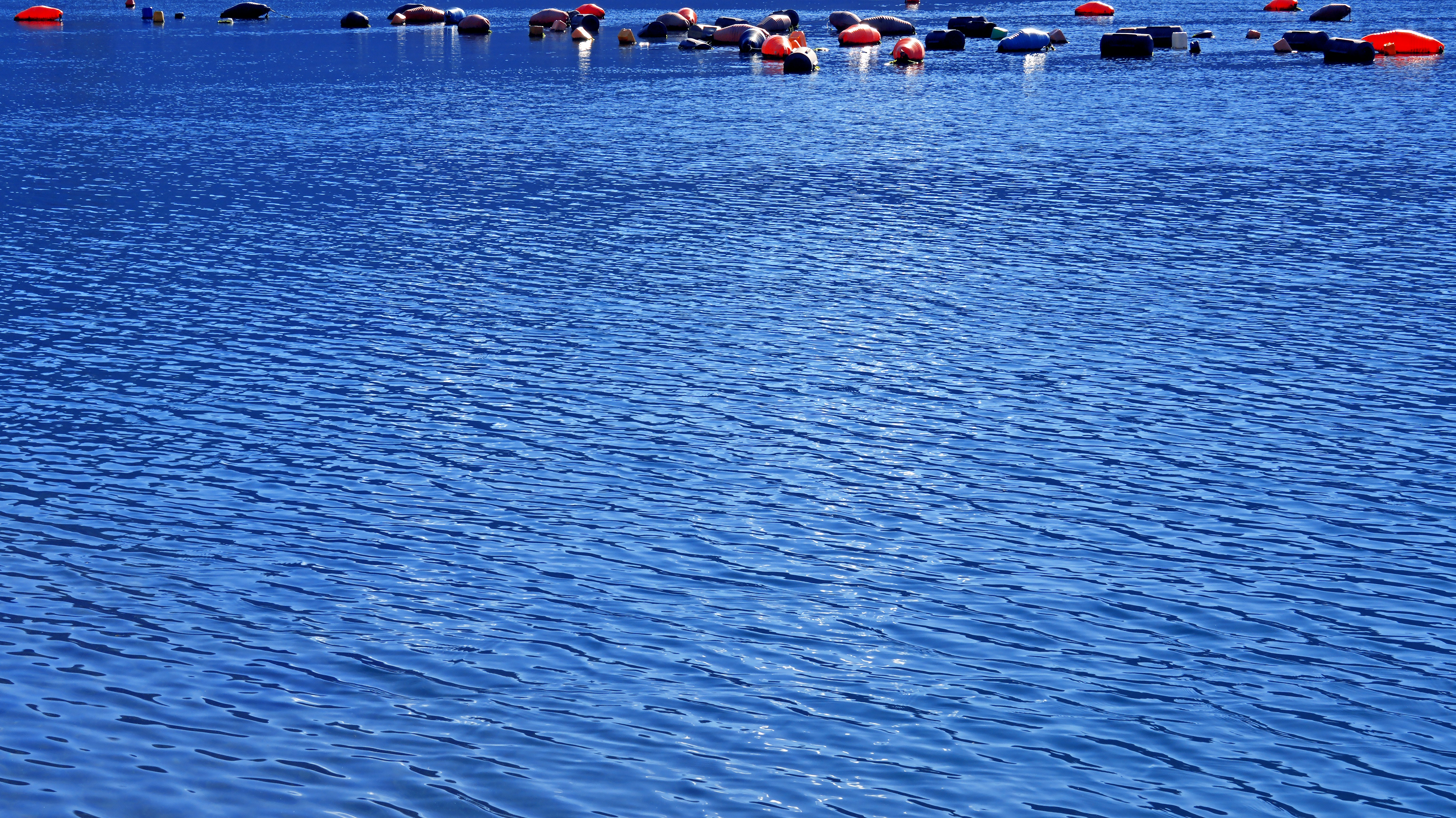 Bright blue water dotted with colorful buoys along the horizon, sunny scene with gentle ripples; a calm harbor edge shot emphasizing color and texture. (Photo indicates a seascape or nautical setting.)