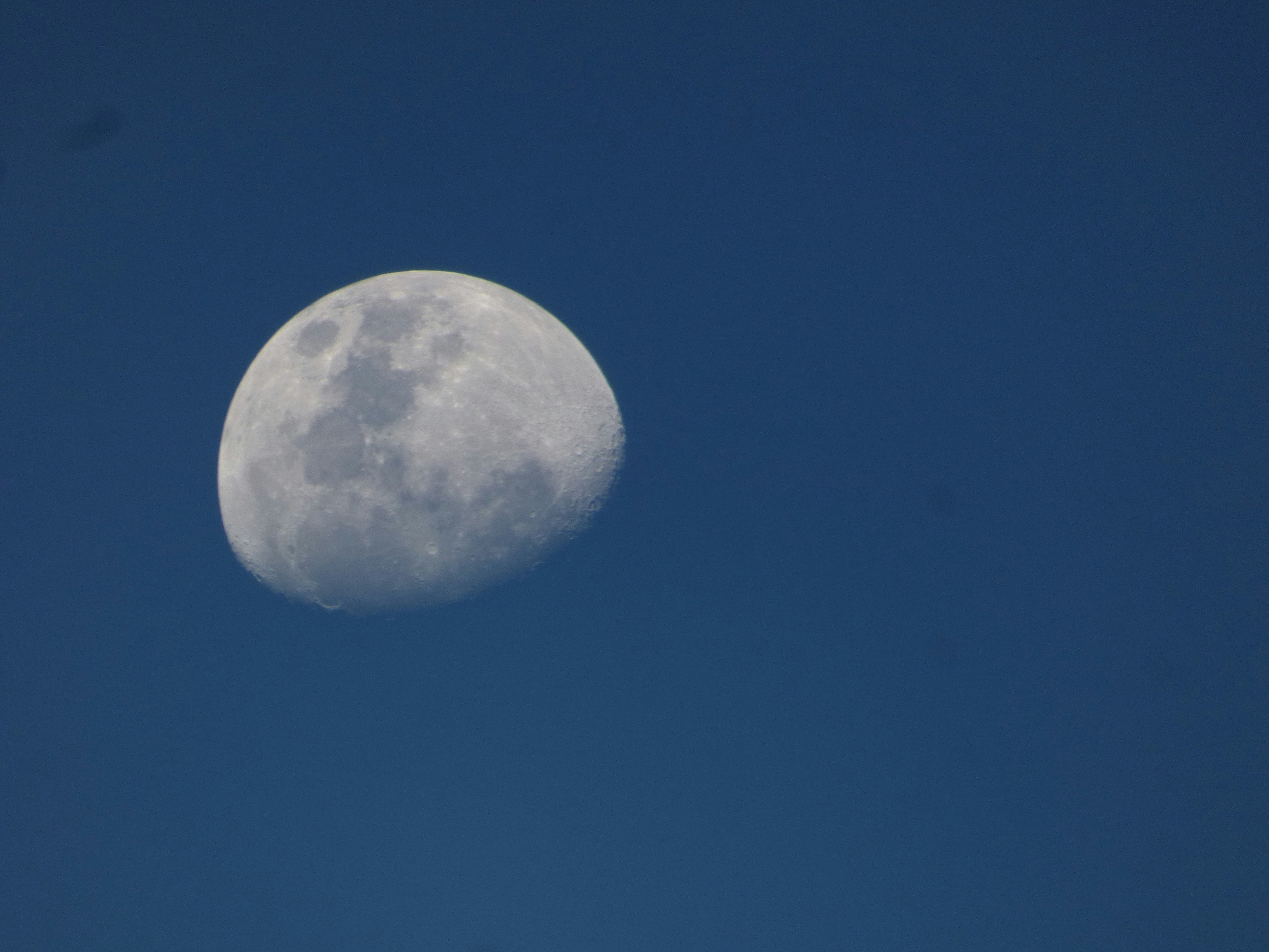 Moonrise in a Calm Indigo Sky