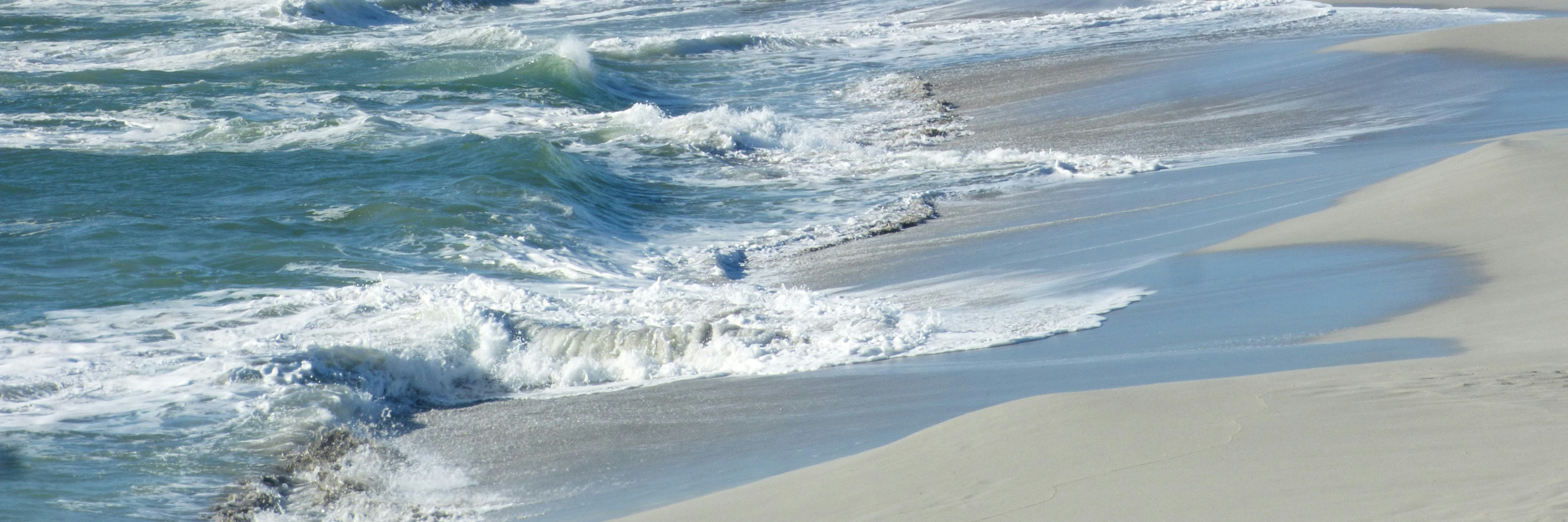 Liminal Shoreline: Foamy Tides Meeting Sunlit Sand