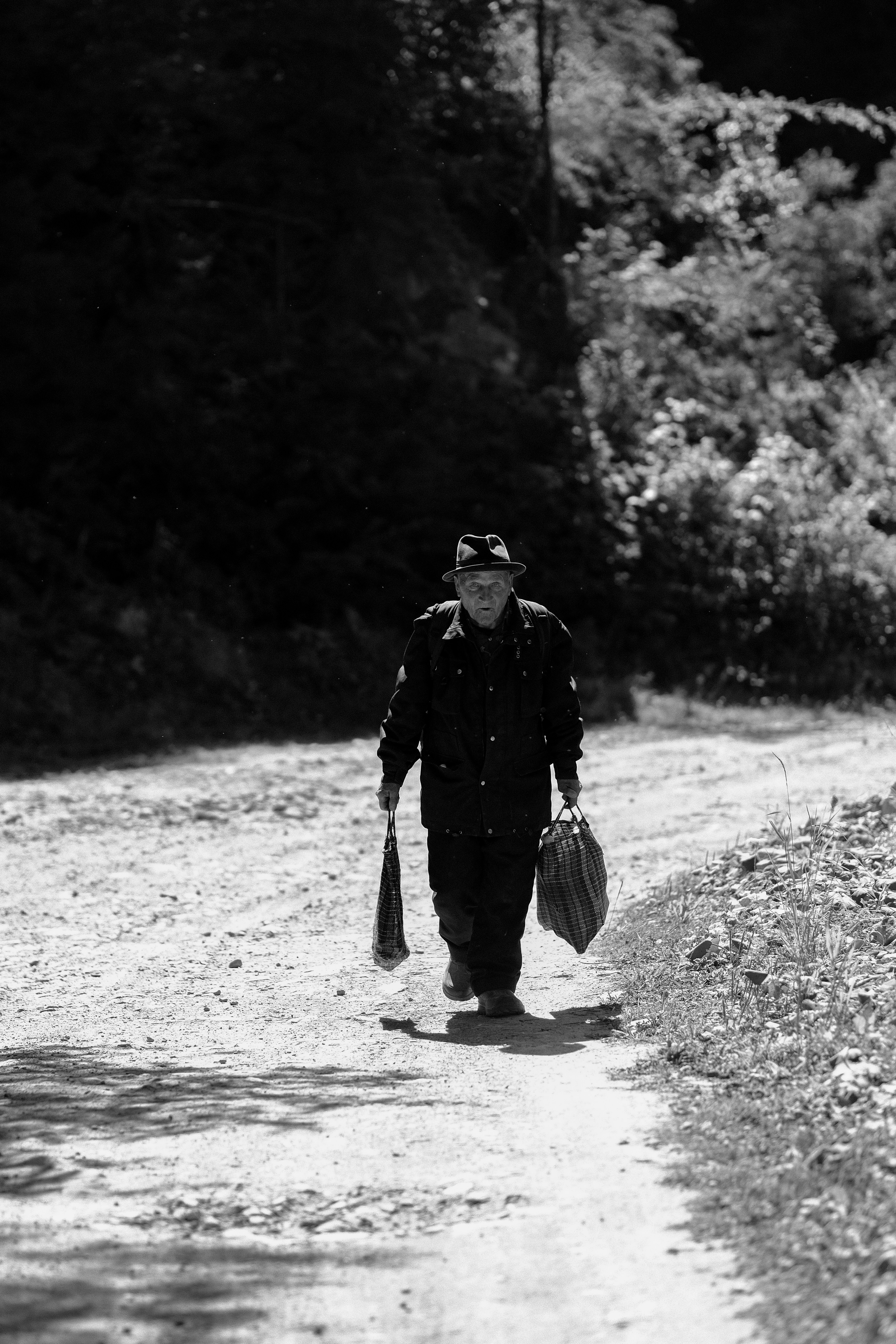 Lonely Walker on a Dusty Trail