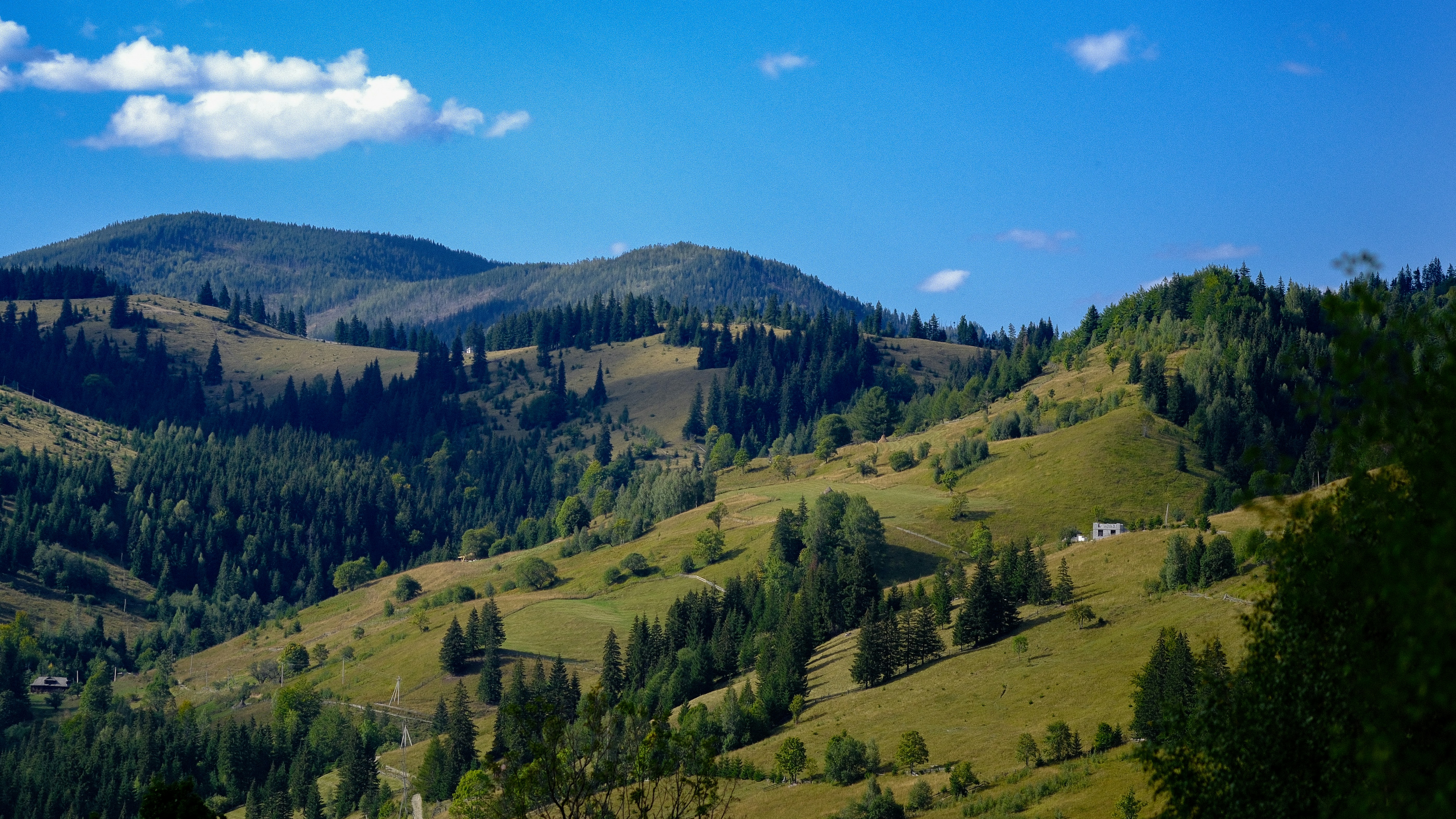 Sunlit Hills: A Quiet Fold of Green Valleys Under a Clear Sky
